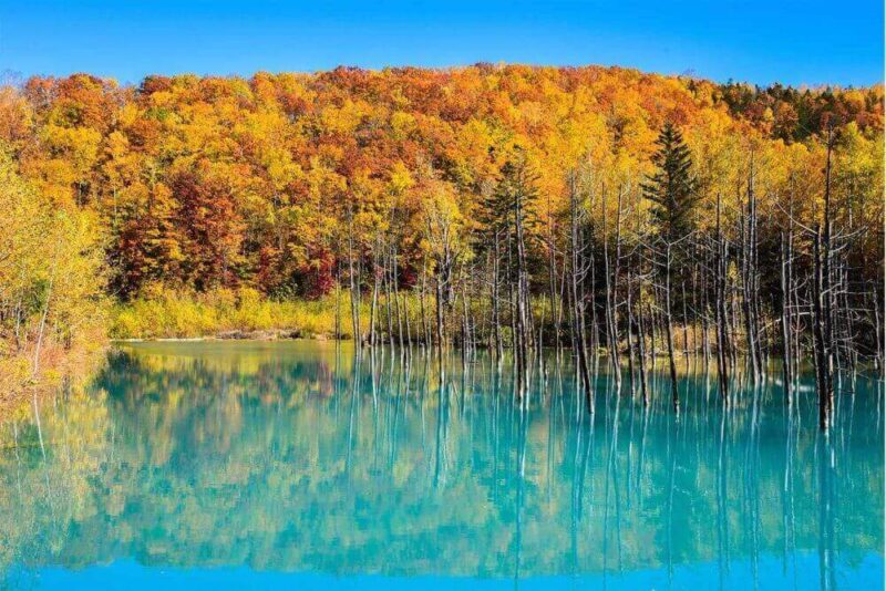 November in Japan! The best and comfortable tourist season! | JAPANICLE