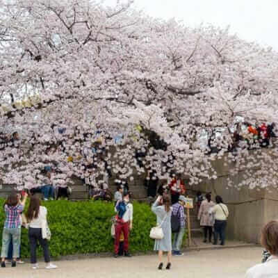 Osaka Weather in December! Temperature, rain, clothes | JAPANICLE