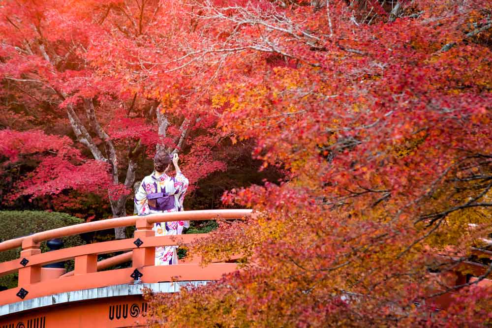 Seasons of Japan! Culture nurtured in the change of the four seasons ...