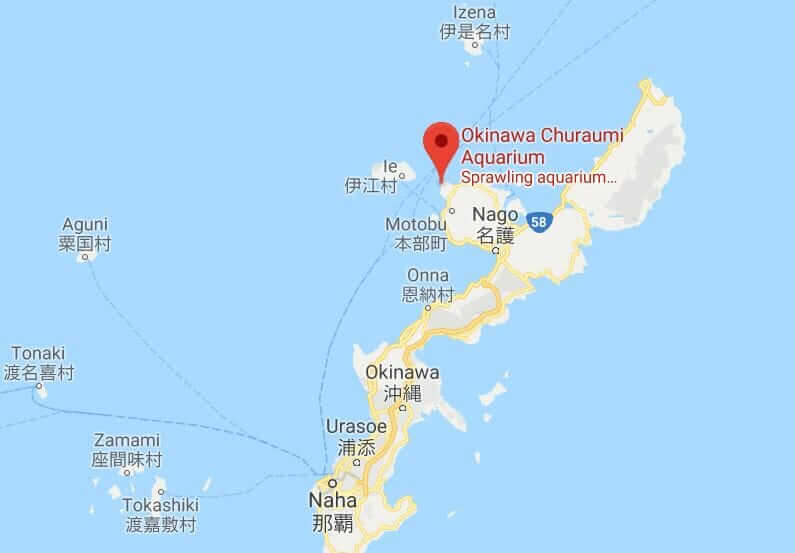 Best of Okinawa! Naha, Miyakojima, Ishigakijima, Taketomijima etc ...