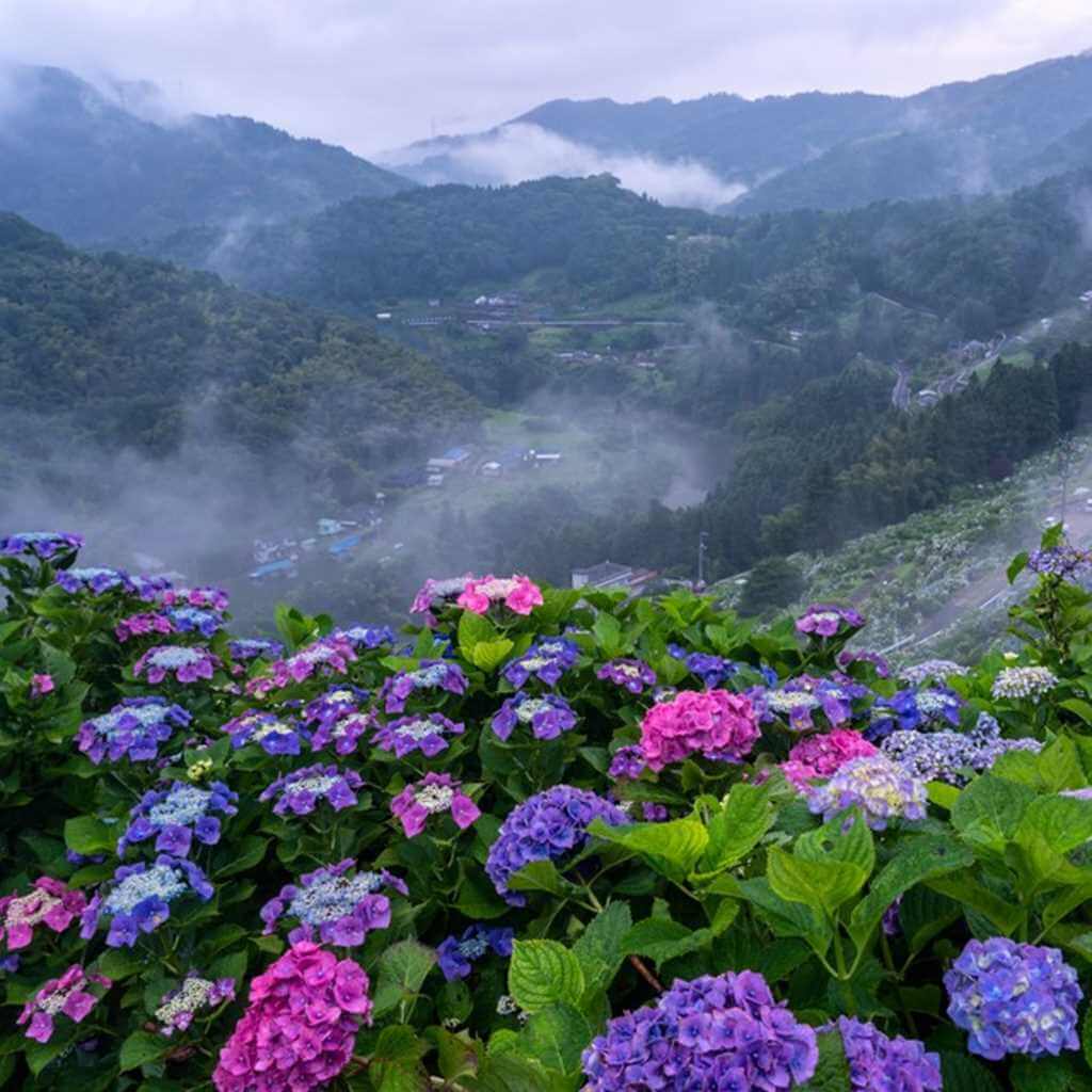 Japanese weather in June! Rainy season except Hokkaido and Okinawa ...