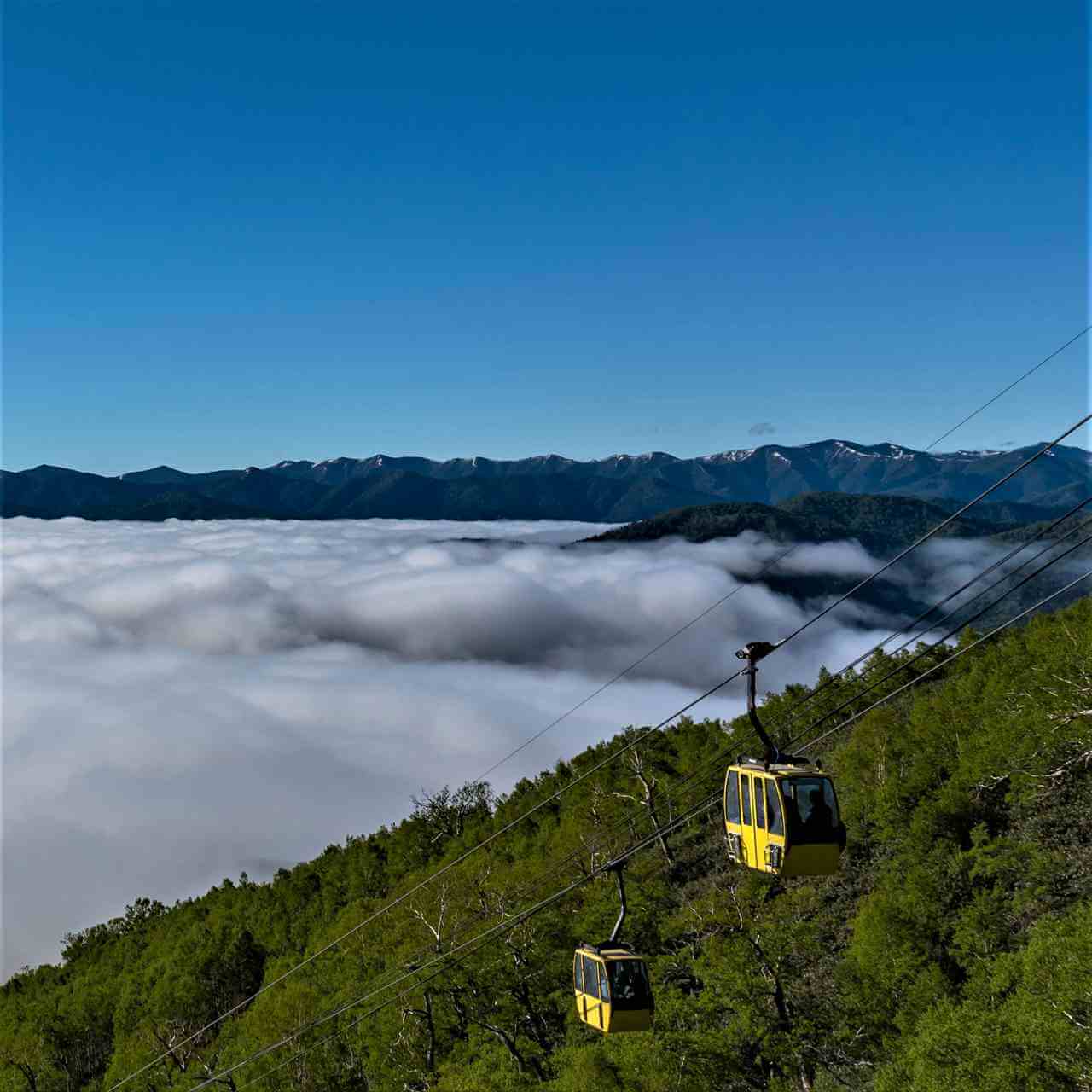 Photos: Tomamu in Hokkaido | JAPANICLE