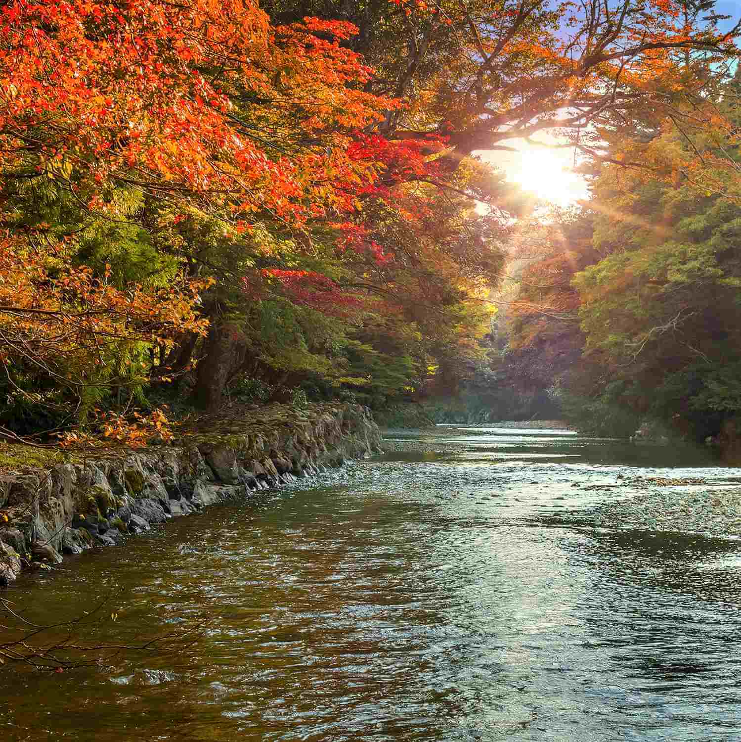 Photos: Ise Jingu Shrine in Mie Prefecture | JAPANICLE
