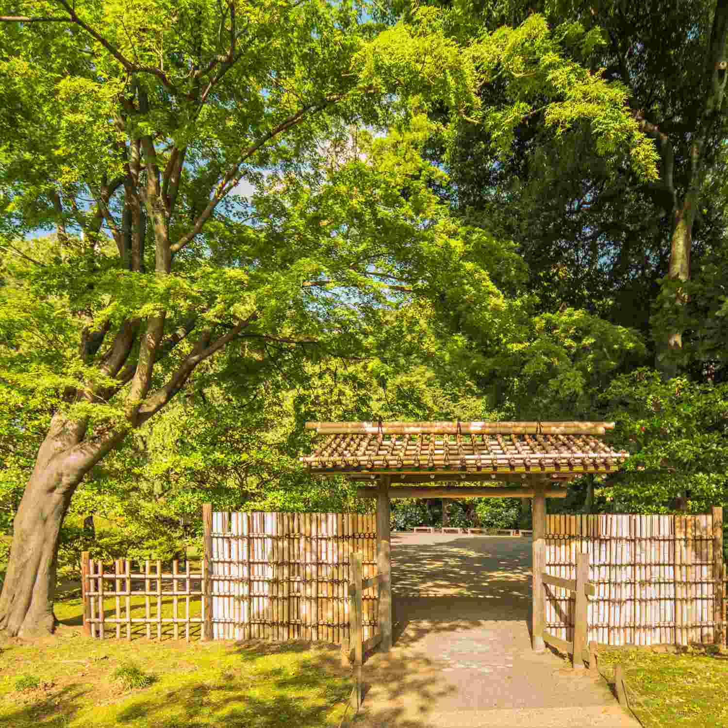 Photos: Rikugien Garden -A beautiful Japanese traditional garden in ...