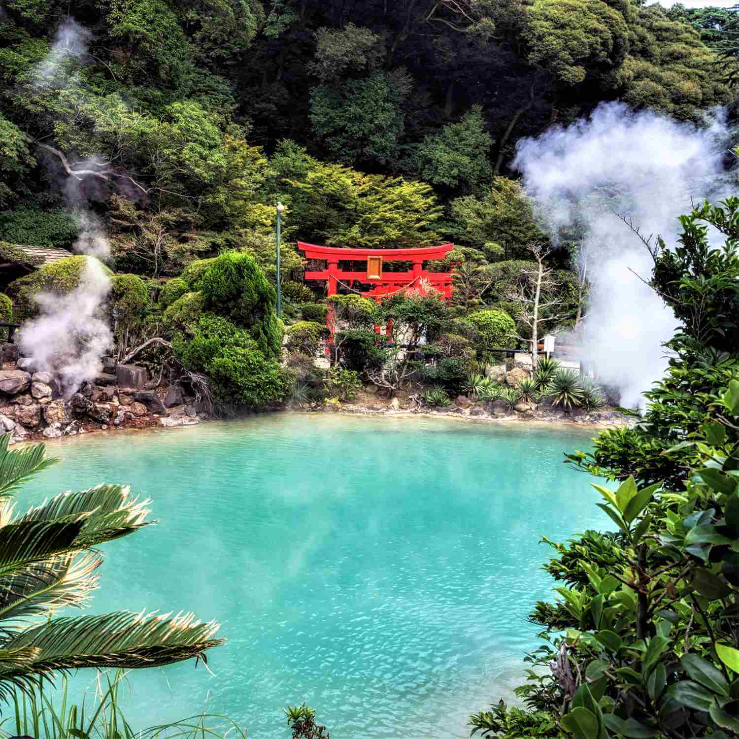 Photos: Beppu (3) Let’s visit various Hells (Jigoku） | JAPANICLE