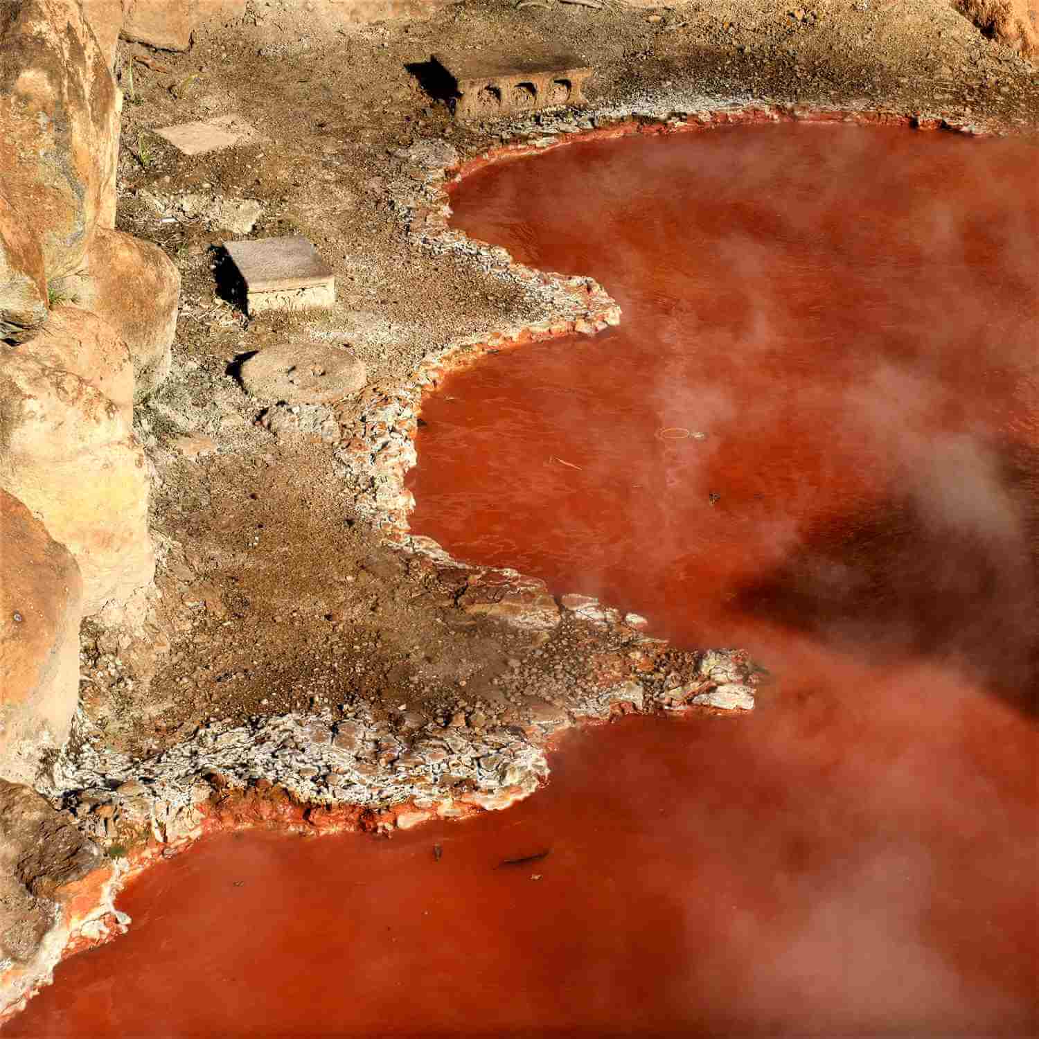 Photos: Beppu (3) Let’s visit various Hells (Jigoku） | JAPANICLE