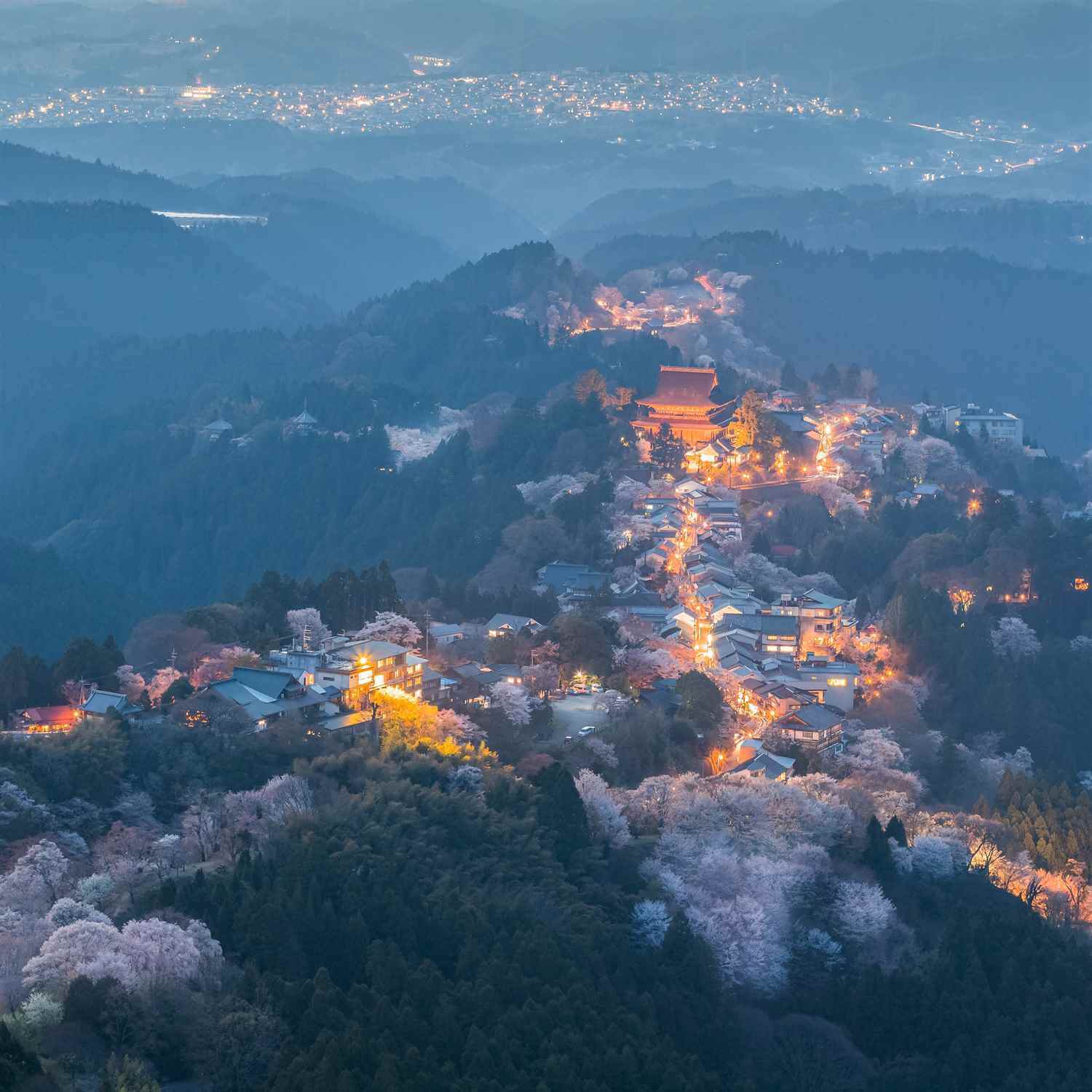 Photos: Mt. Yoshino -30,000 cherry trees bloom in spring! | JAPANICLE