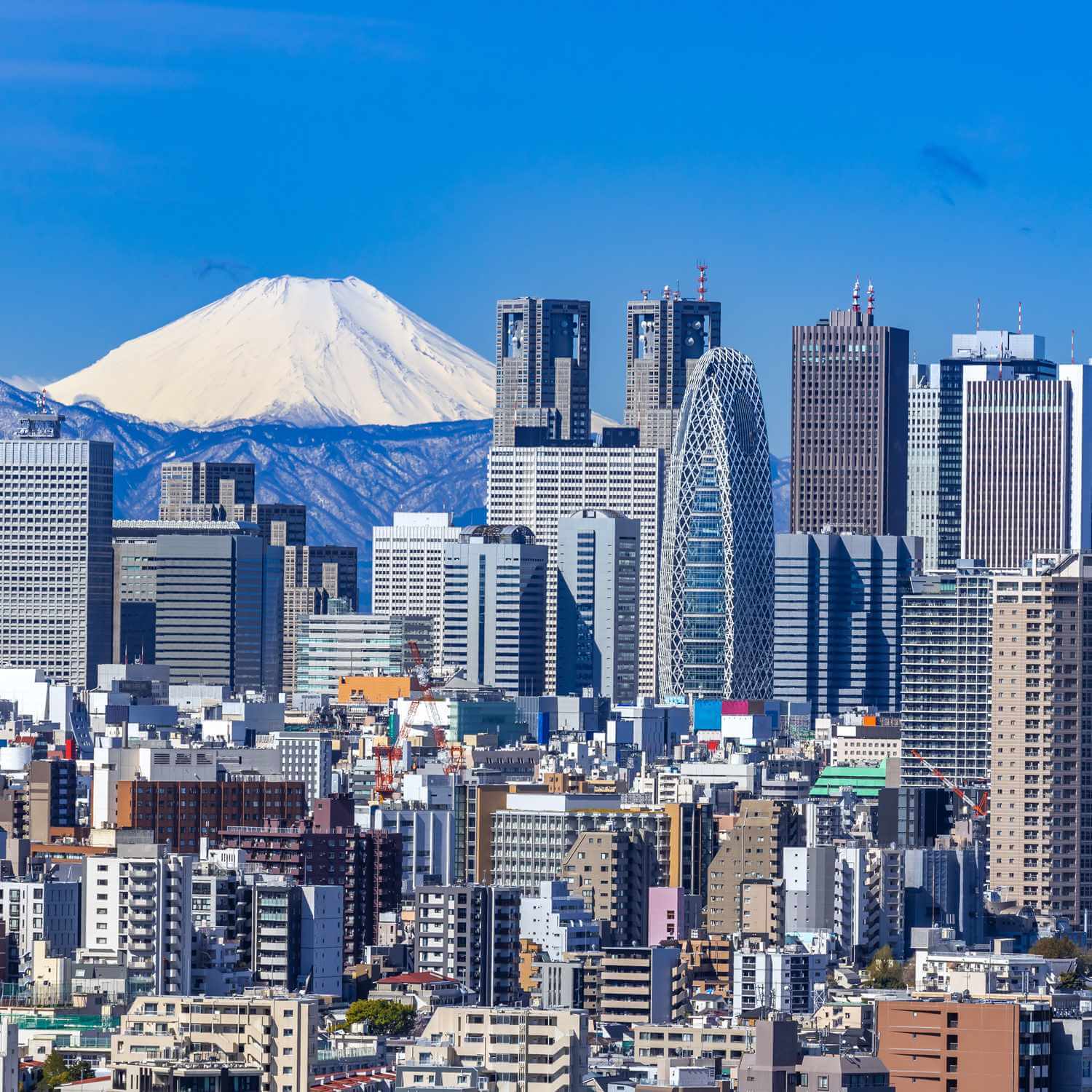 Photos: Mt. Fuji covered with snow | JAPANICLE
