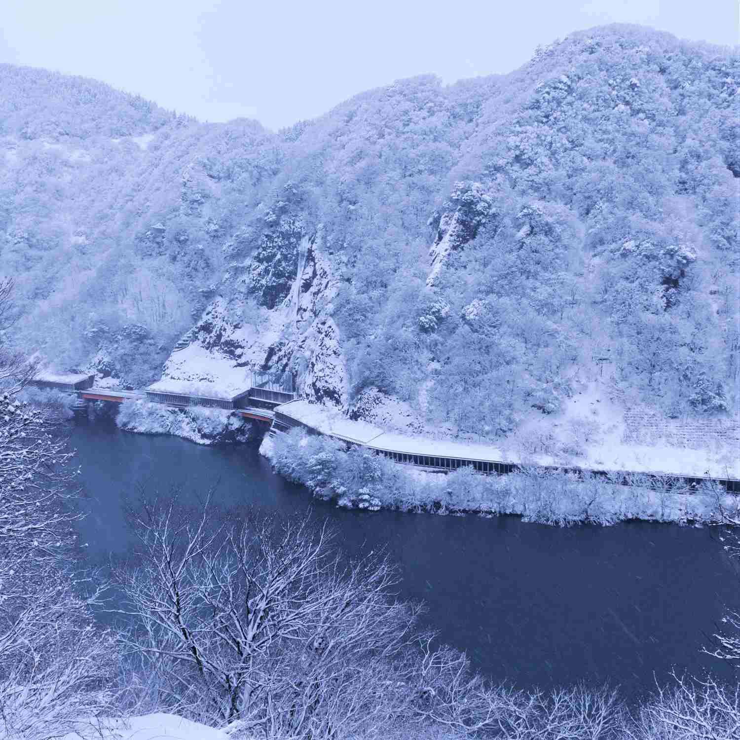 Photos: Shogawa Gorge cruise -River cruise in a pure white world ...
