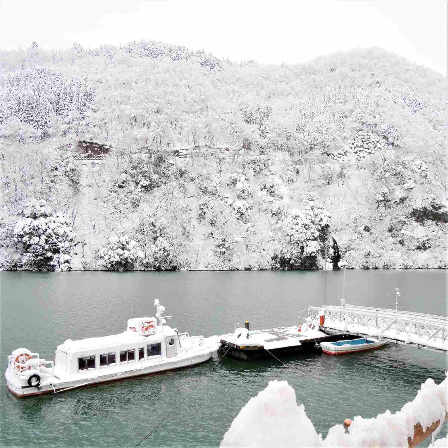 Photos: Shogawa Gorge cruise -River cruise in a pure white world ...