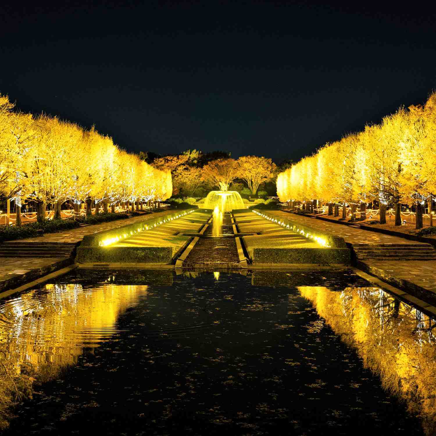 Photos: The Showa Kinen Park | JAPANICLE