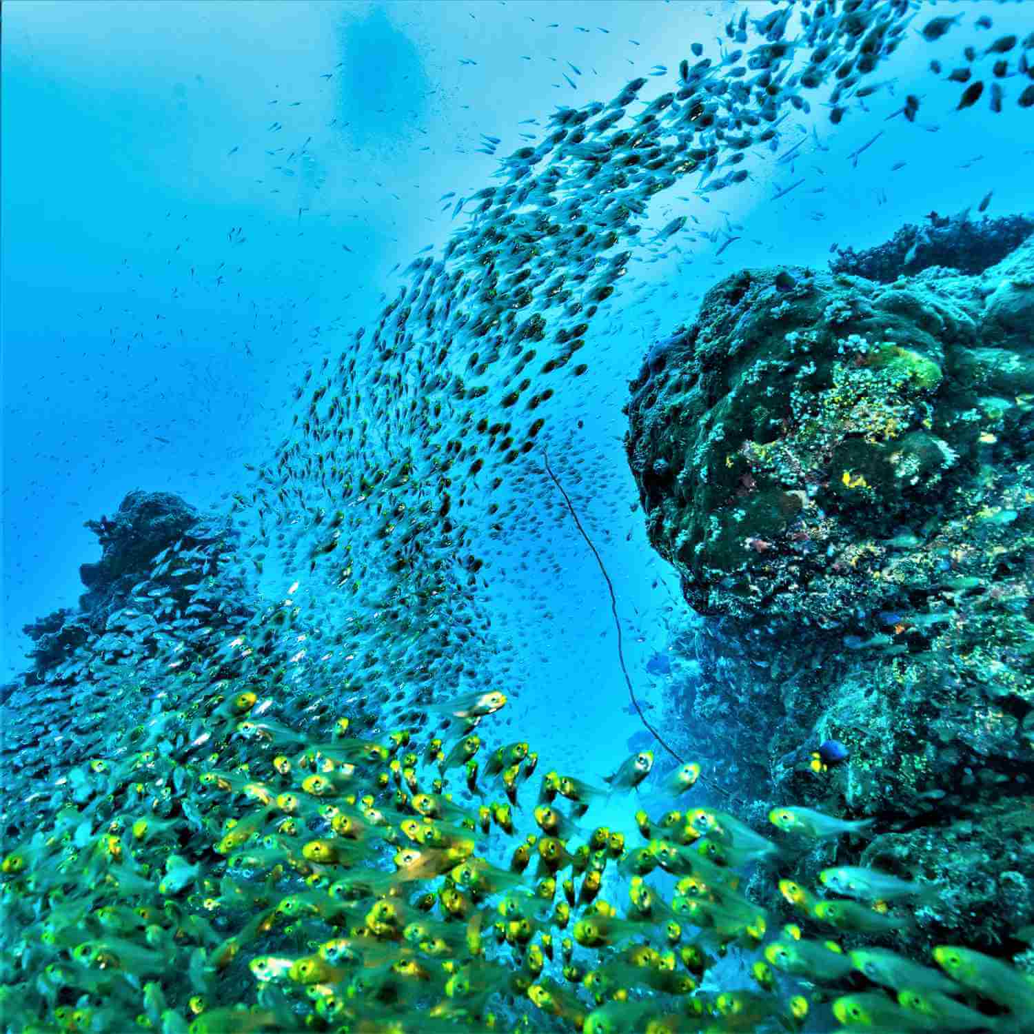 Photos: Okinawa’s Beautiful Sea 1 -Enjoy the endlessly clear waters ...
