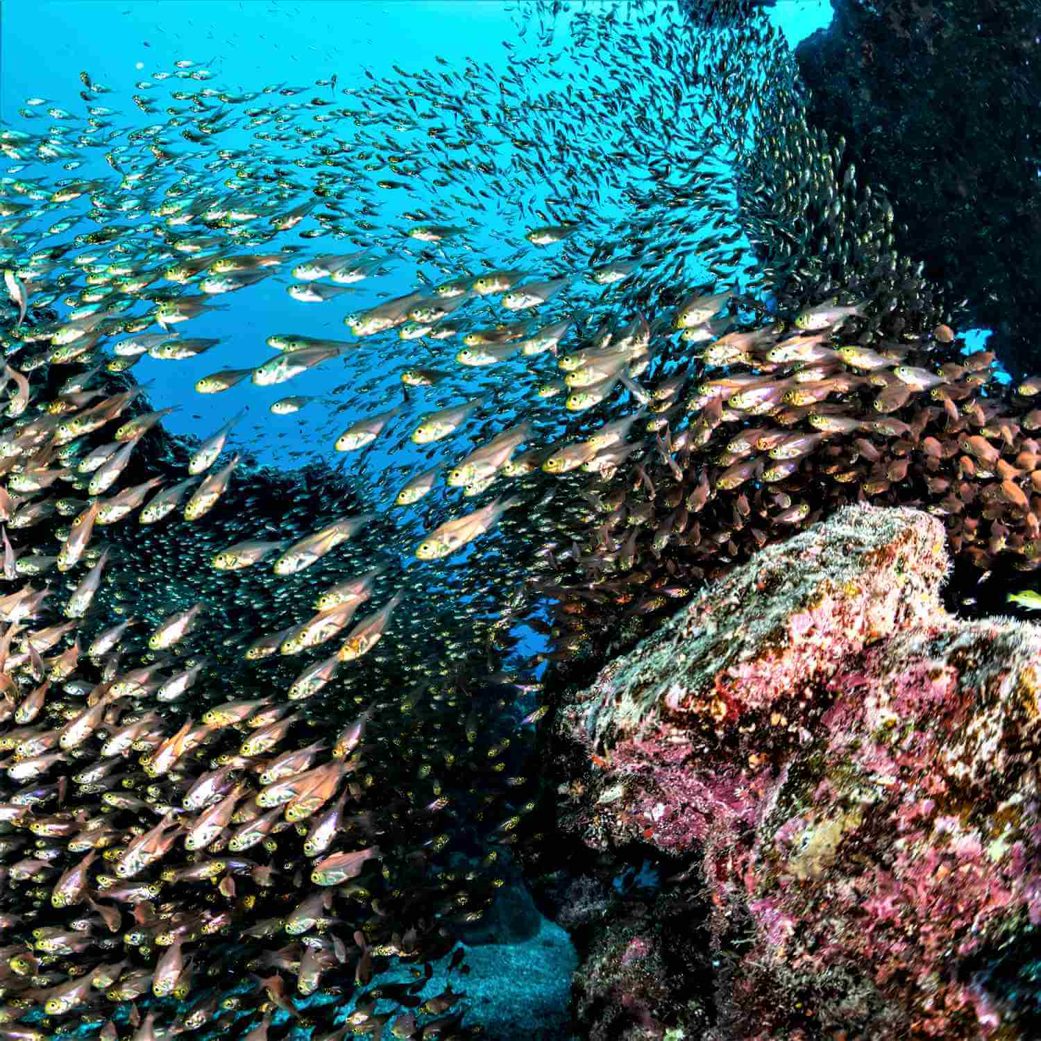 Photos: Okinawa’s Beautiful Sea 1 -Enjoy the endlessly clear waters ...
