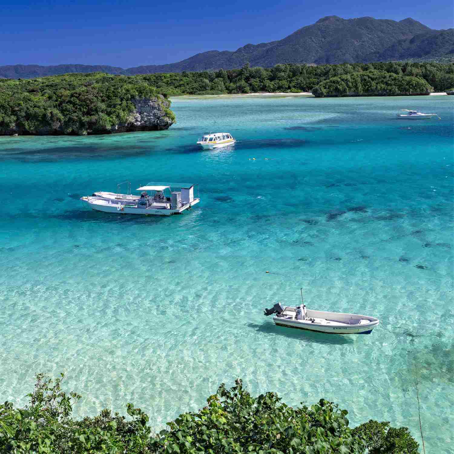 Photos: Okinawa’s Beautiful Sea 1 -Enjoy the endlessly clear waters ...