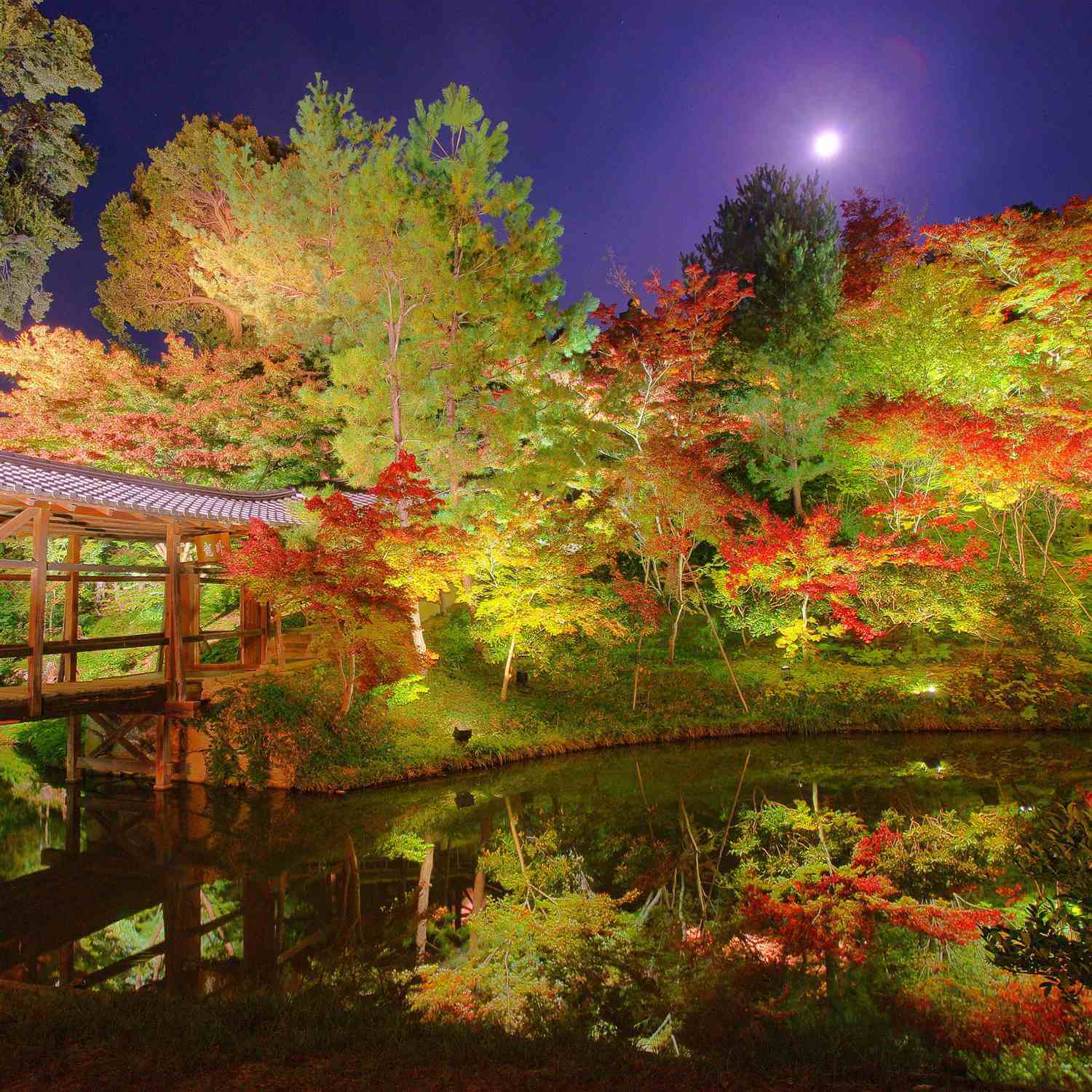 Kyoto! 26 Best Attractions : Fushimi Inari, Kiyomizudera, Kinkakuji etc ...