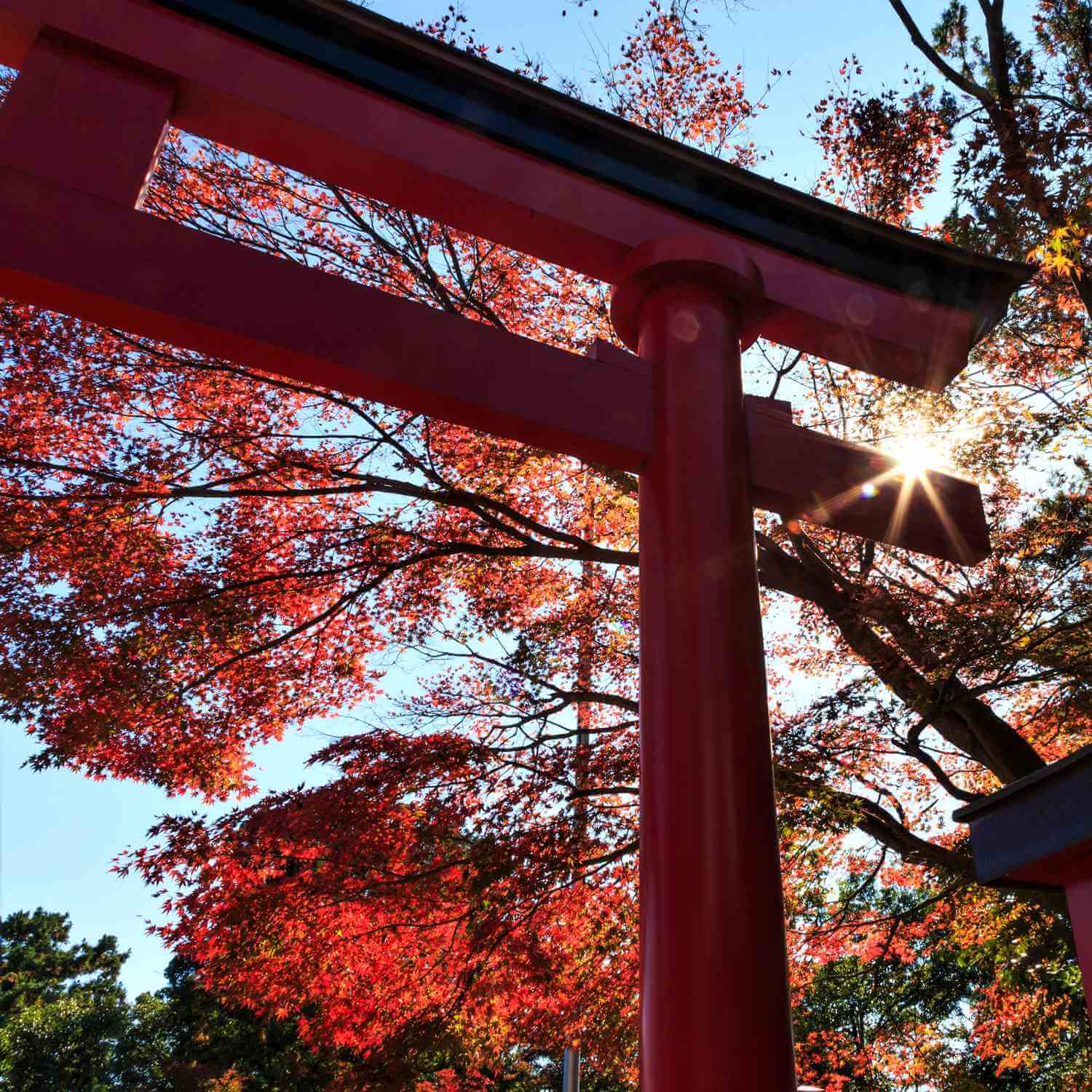 Photos: Mt. Takao- Michelin 3-star tourist destination | JAPANICLE