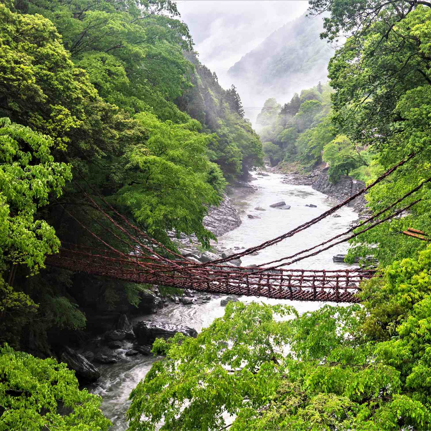 Photos: Iya Kazura Bridge in Tokushima, Shikoku -Can you cross this ...