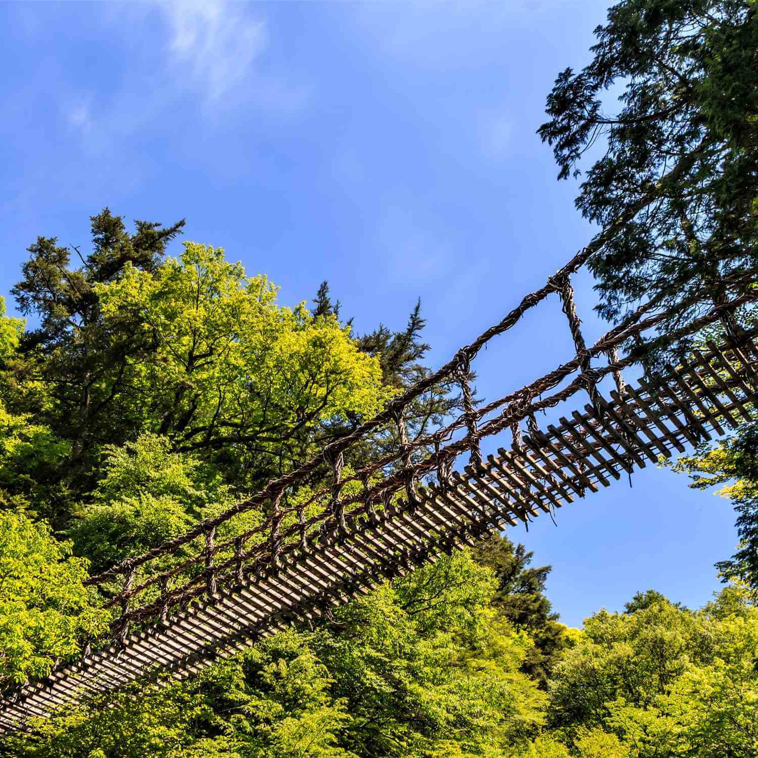 Photos: Iya Kazura Bridge in Tokushima, Shikoku -Can you cross this ...