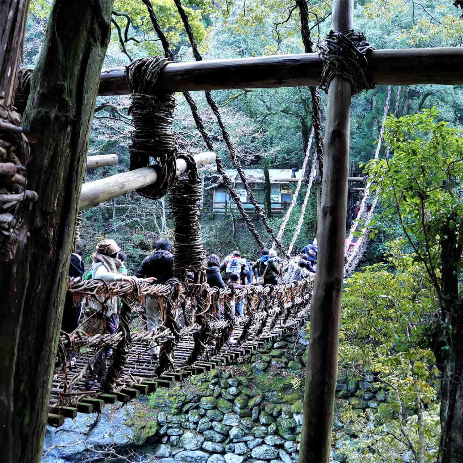 Photos: Iya Kazura Bridge in Tokushima, Shikoku -Can you cross this ...