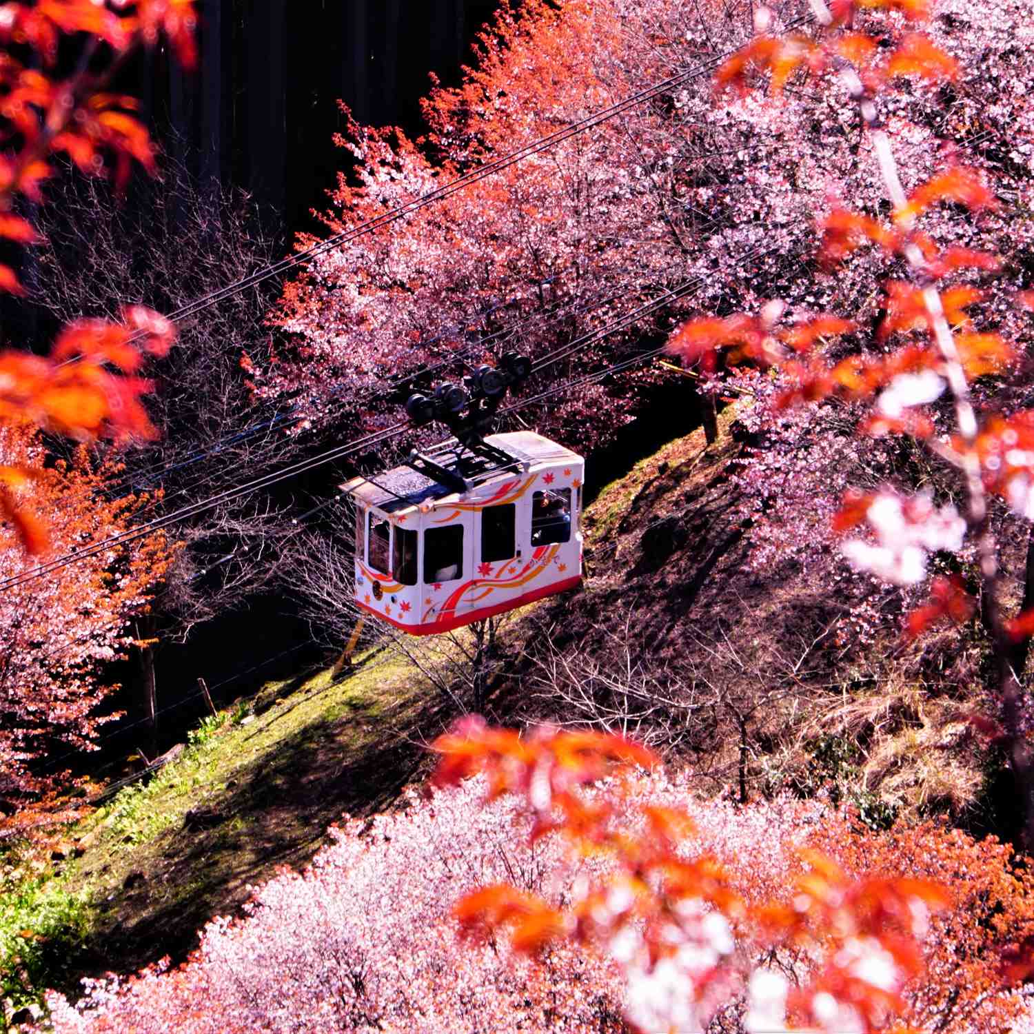 Photos: Ropeways in Japan | JAPANICLE