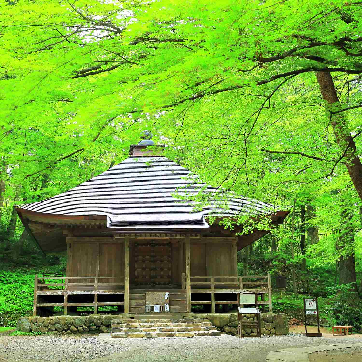Photos: Chusonji Temple in Hiraizumi, Iwate Prefecture | JAPANICLE