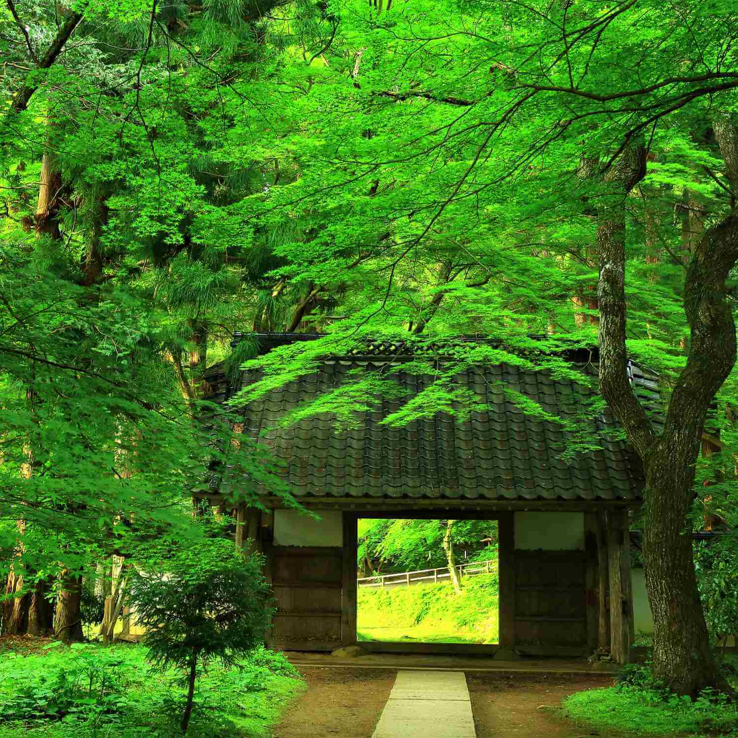 Photos: Chusonji Temple in Hiraizumi, Iwate Prefecture | JAPANICLE