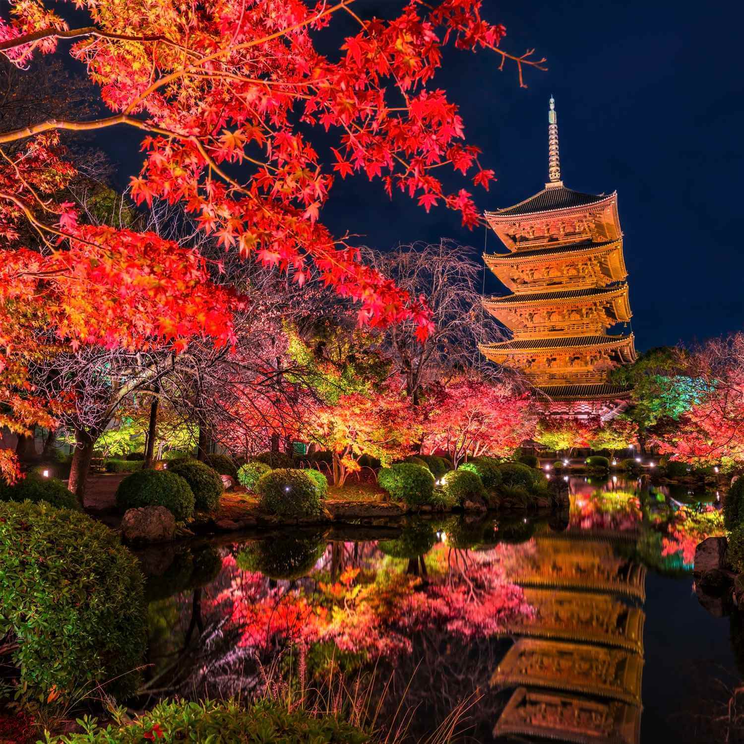 Photos: Autumn leaves in Kyoto | JAPANICLE