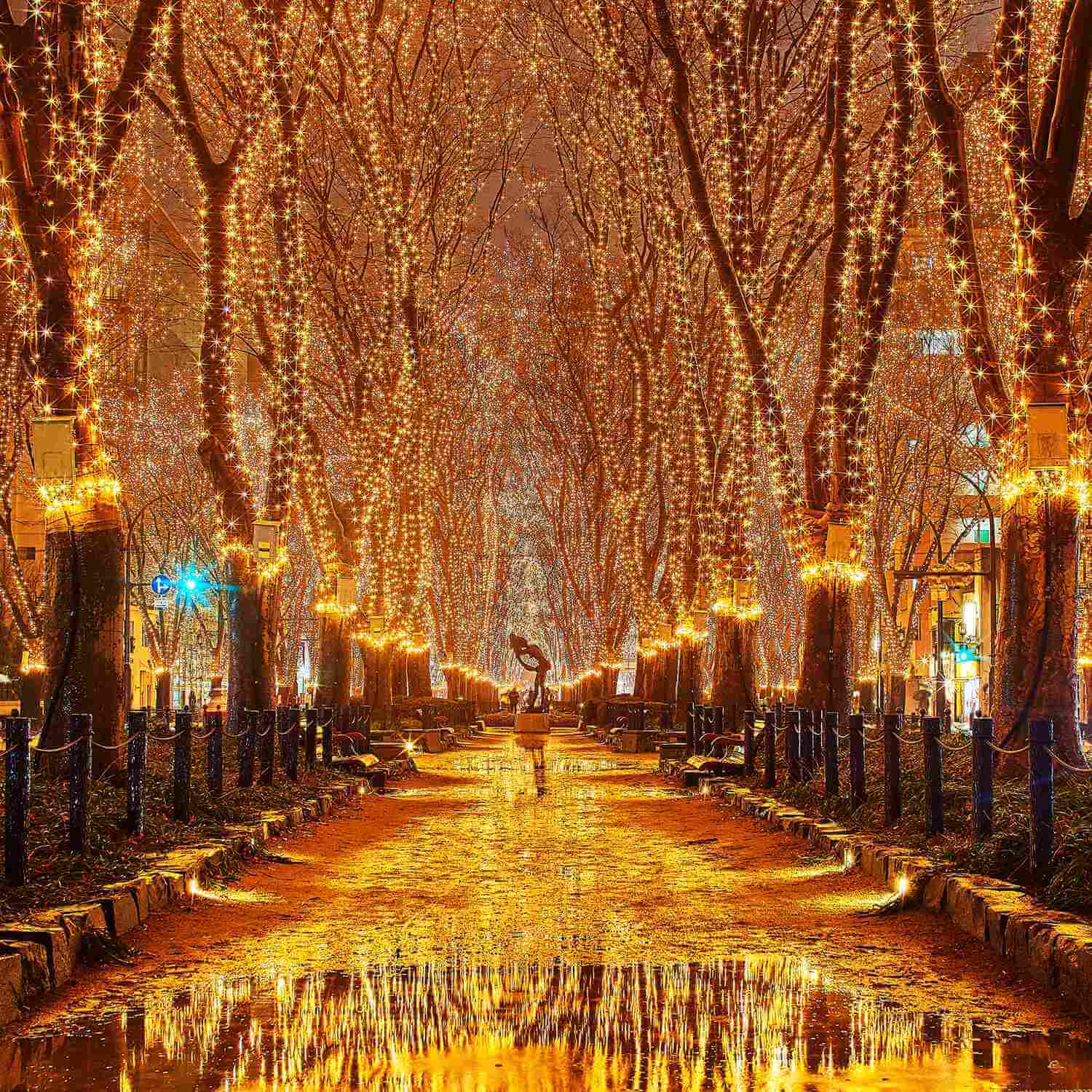 Photos: “SENDAI PAGEANT OF STAR LIGHT” -Sendai, Miyagi Prefecture ...