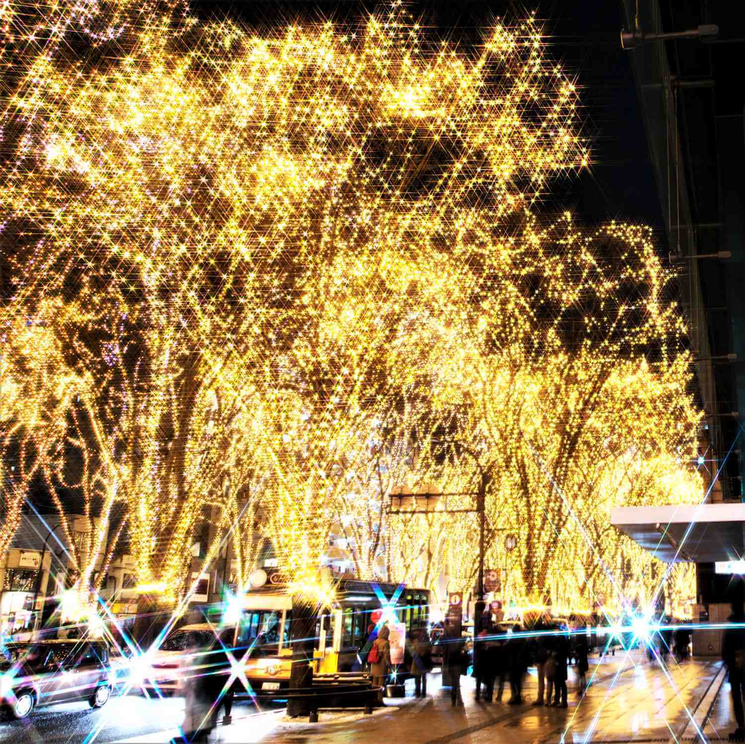 Photos: “SENDAI PAGEANT OF STAR LIGHT” -Sendai, Miyagi Prefecture ...