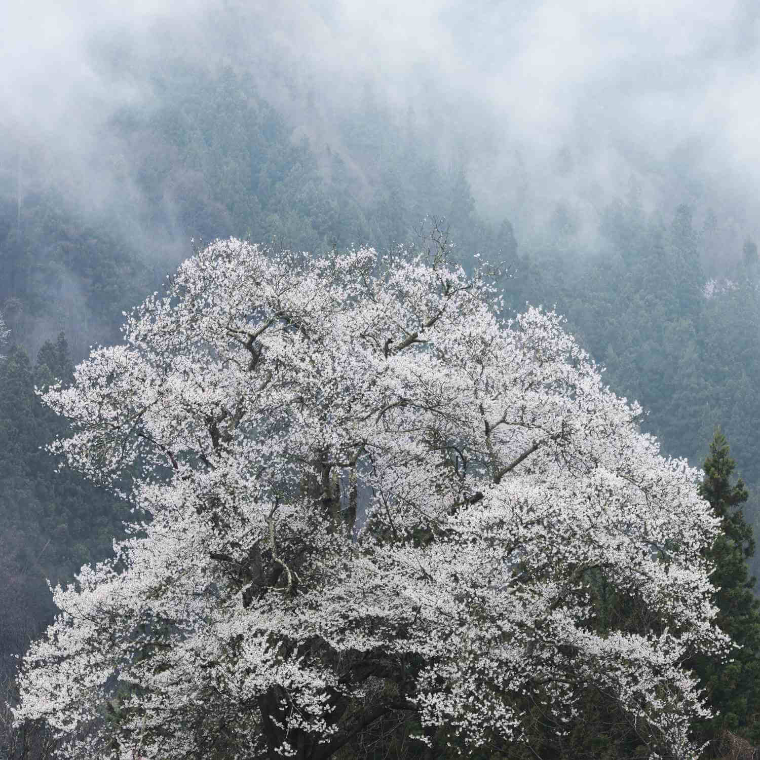 Photos: Aizu in Fukushima Prefecture -Samurai’s Hometown | JAPANICLE