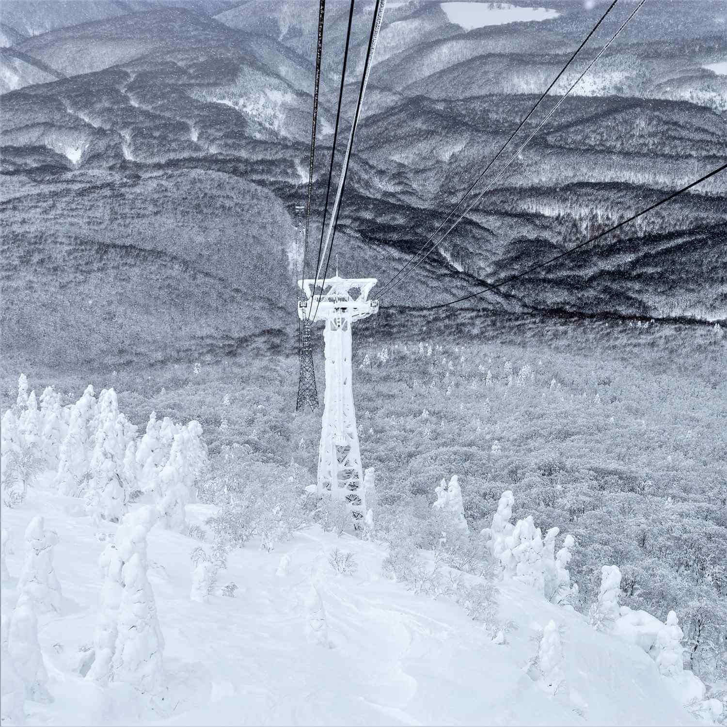 Photos: Hakkoda Mountain in heavy snowfall | JAPANICLE