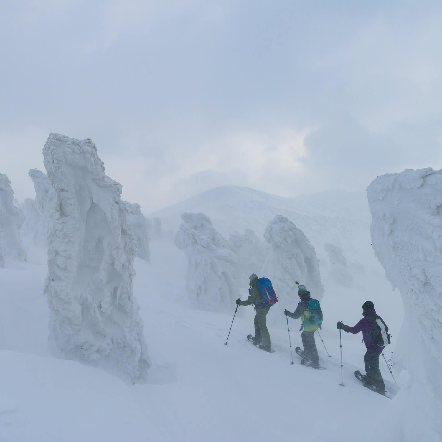 Photos: Hakkoda Mountain in heavy snowfall | JAPANICLE