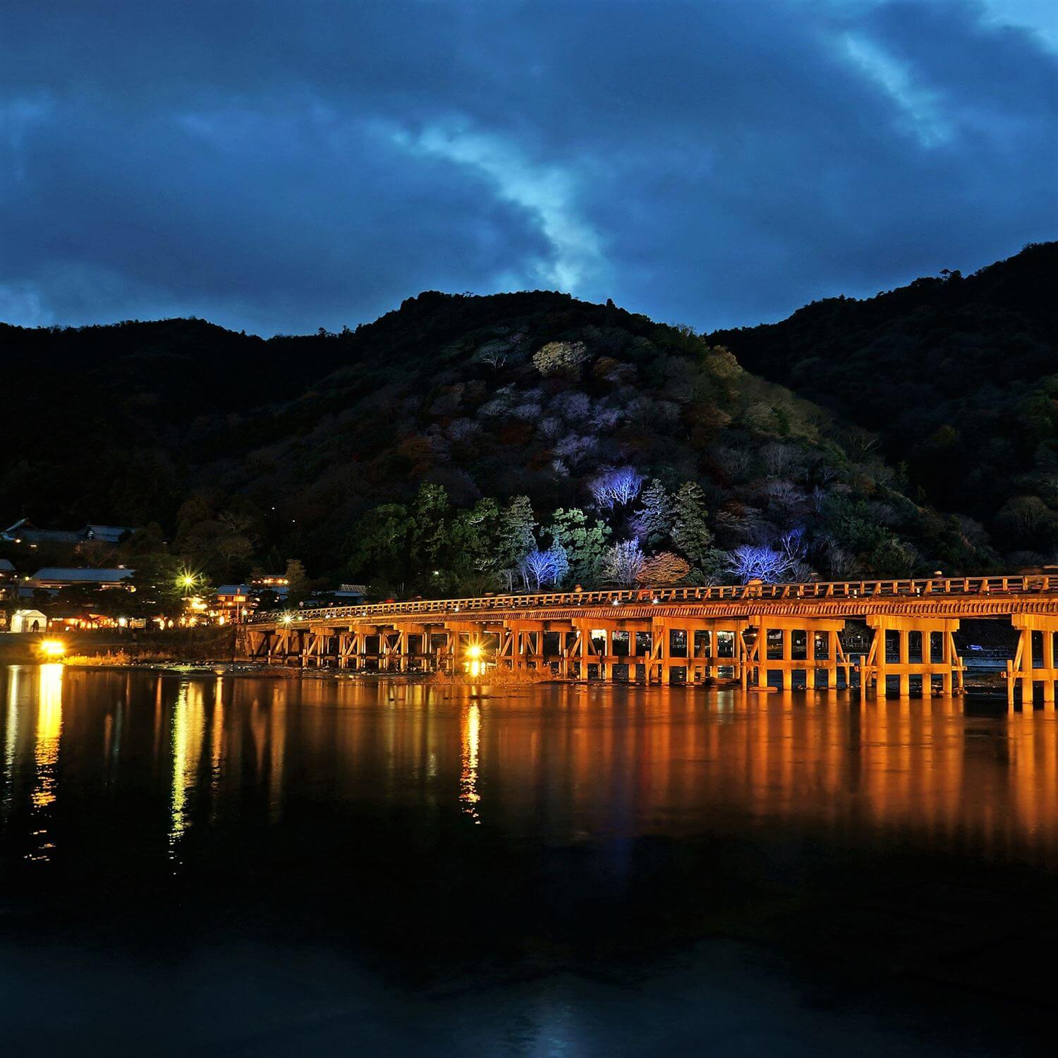Photos: The fantastic illumination “Hanatouro” in Arashiyama, Kyoto ...