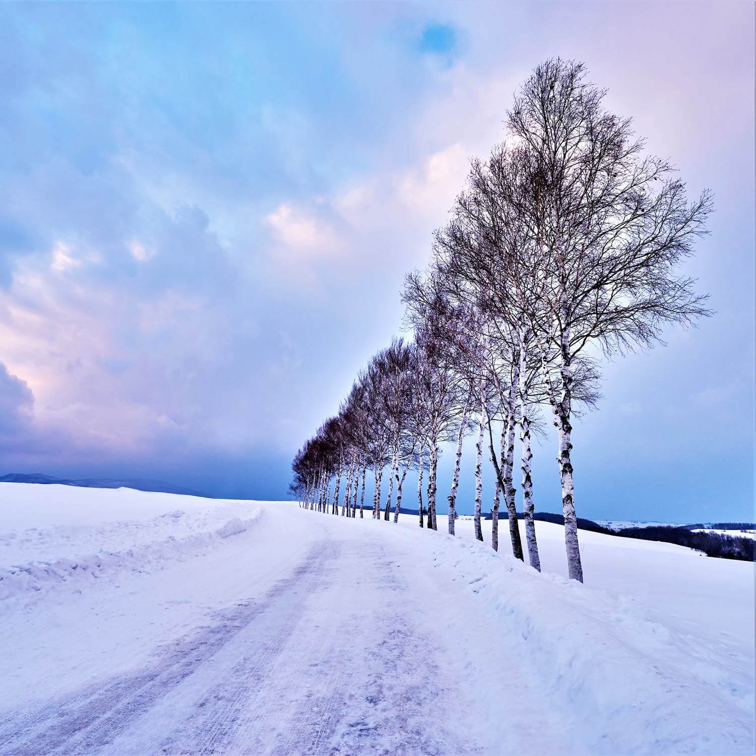 Photos: The vast landscape of Hokkaido in winter -Asahikawa, Biei ...
