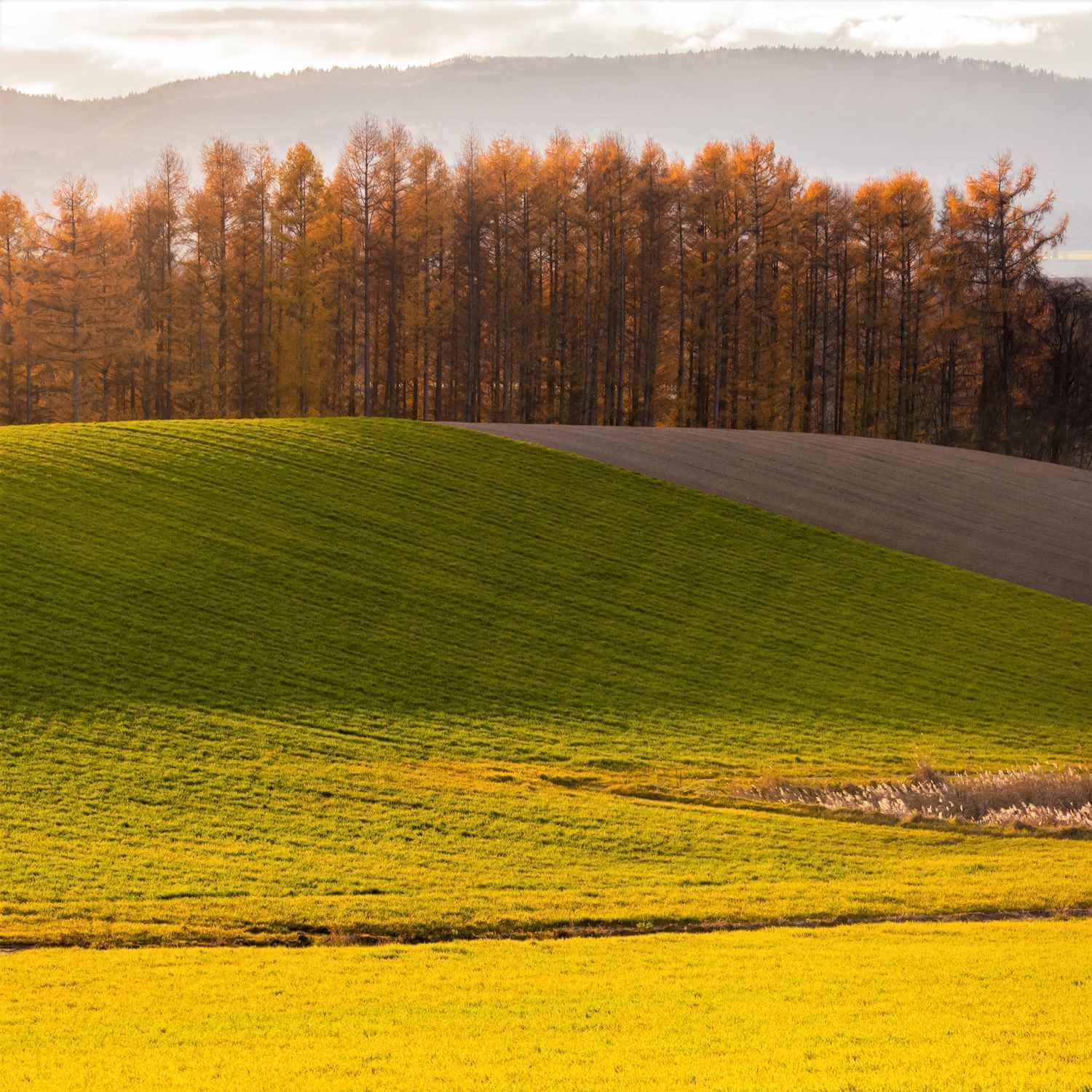 Photos: Autumn Landscape in Hokkaido | JAPANICLE