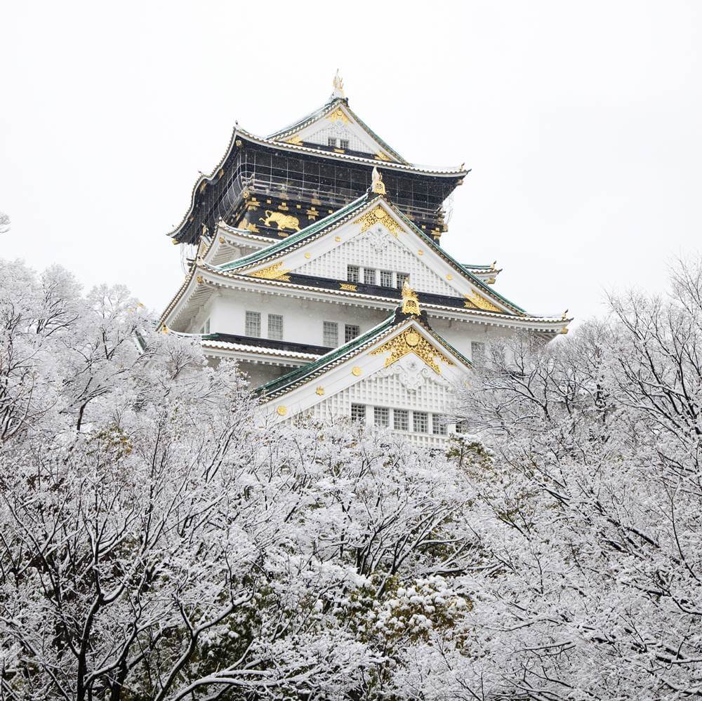 Photos: Osaka Castle -Enjoy the wonderful view from the top floor ...