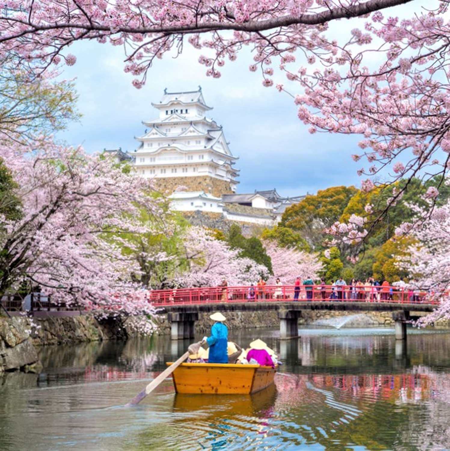 Photos: Himeji Castle in spring -Very graceful with cherry blossoms ...