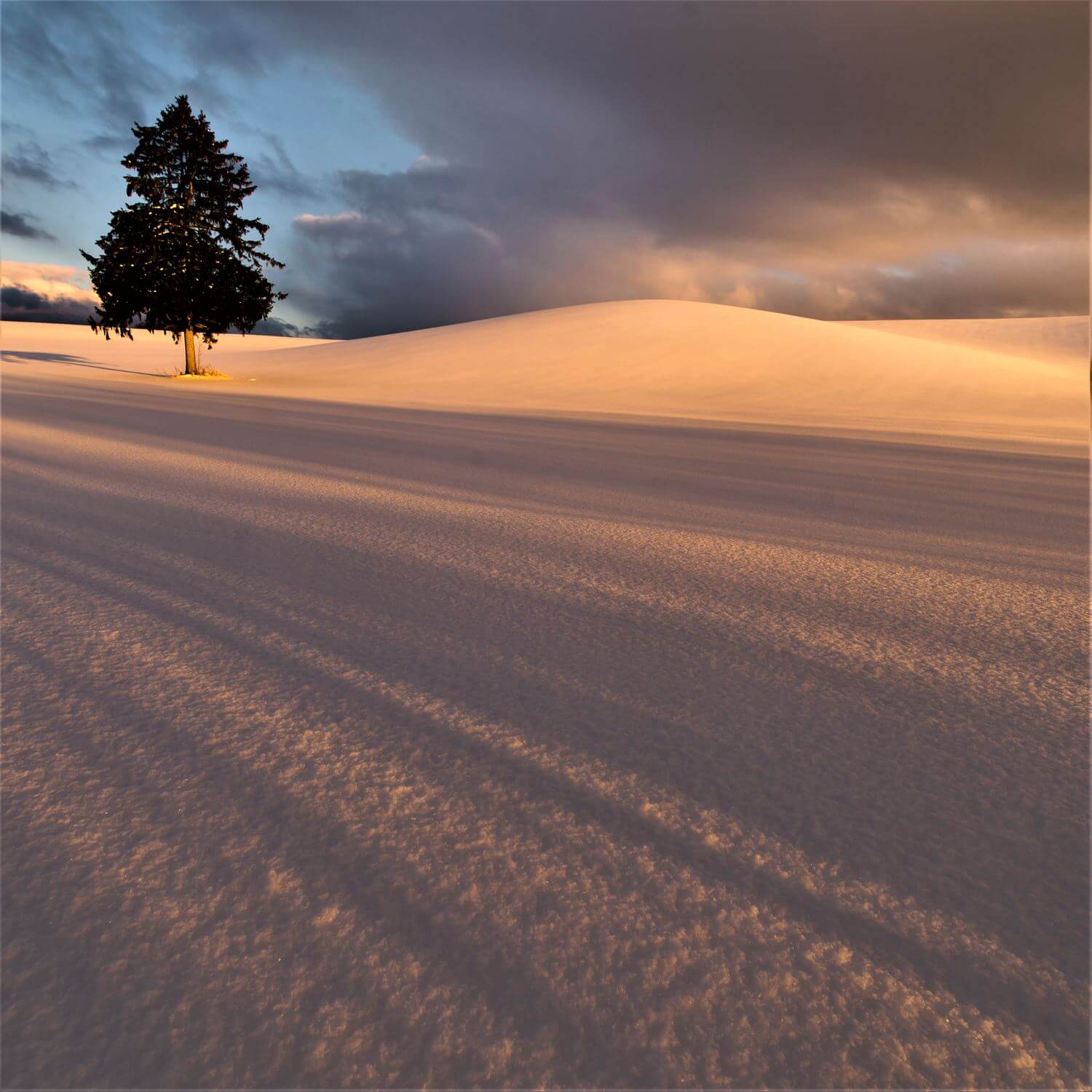 Photos: The Four Seasons in Furano | JAPANICLE