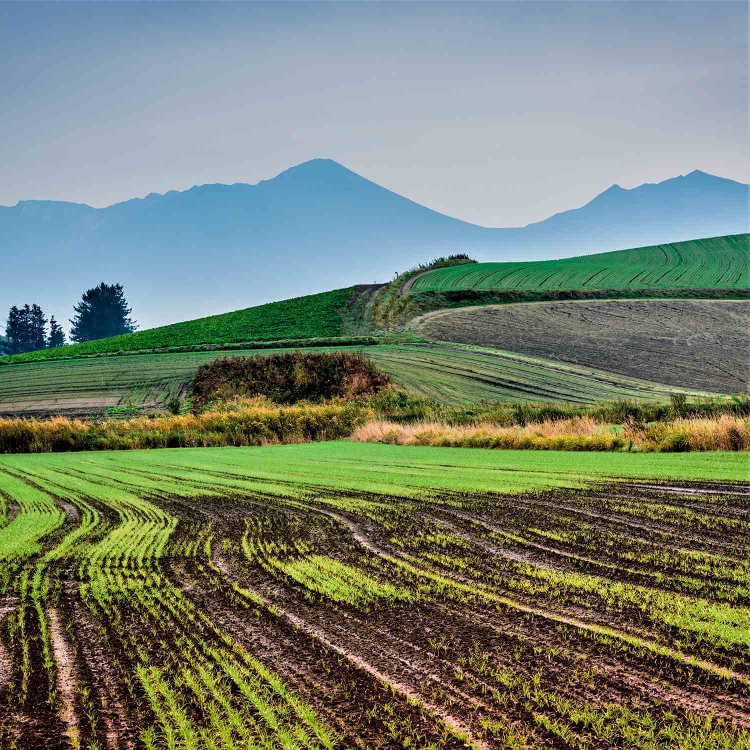 Photos: The Four Seasons in Furano | JAPANICLE