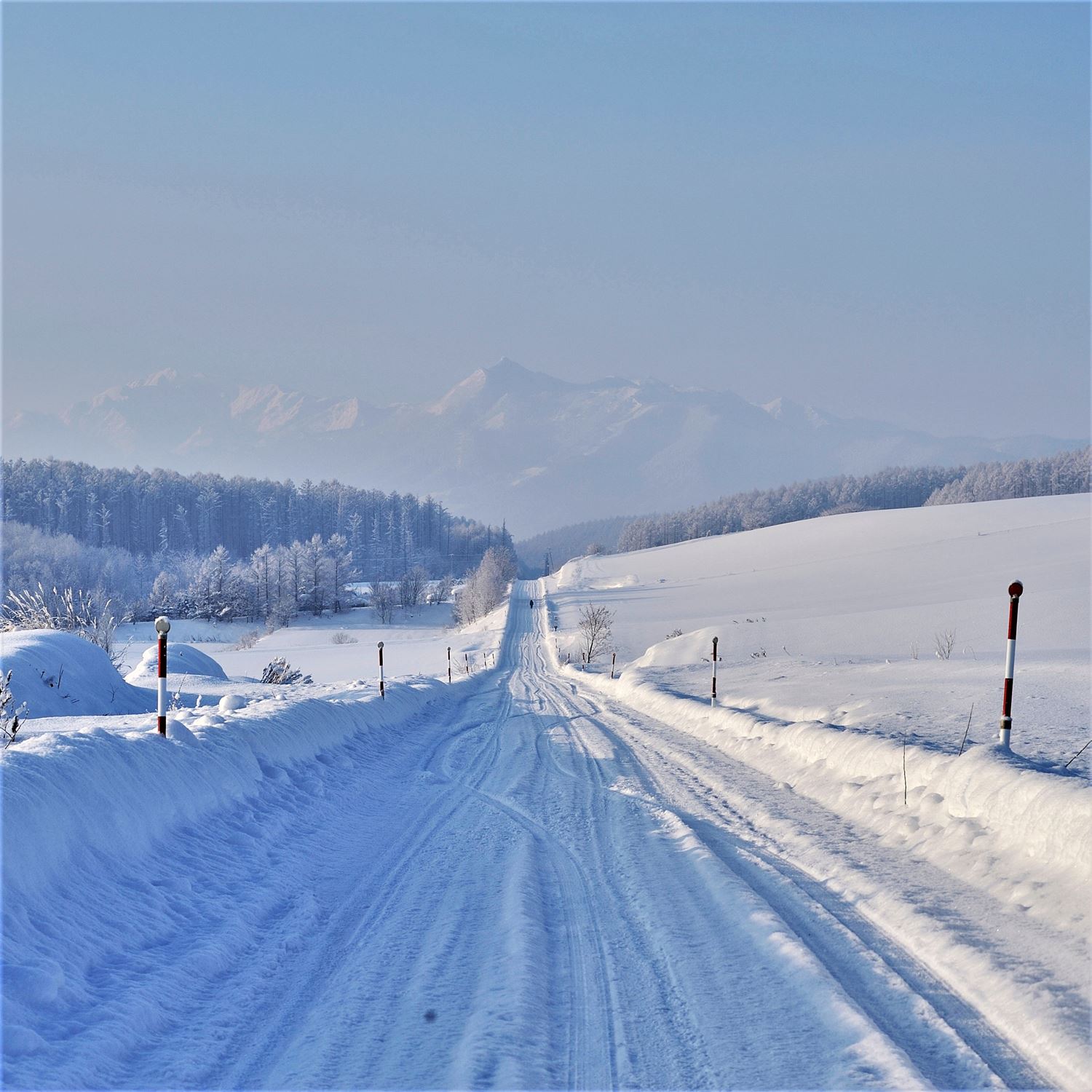 Photos: The Four Seasons in Furano | JAPANICLE