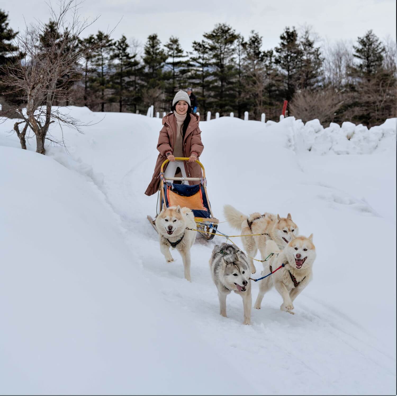 Photos: The Four Seasons in Furano | JAPANICLE