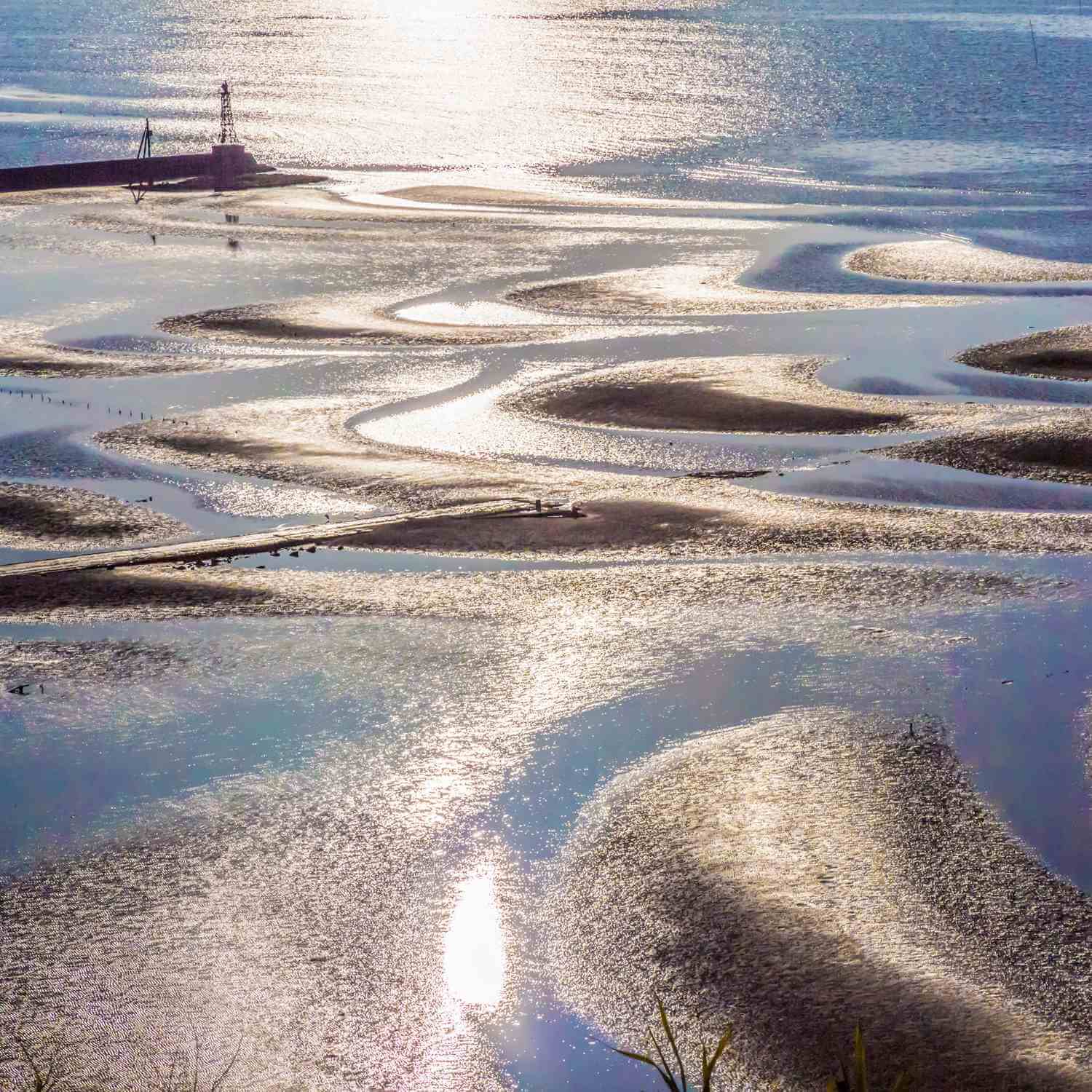 Photos: Okoshiki Coast in the Ariake Sea, Kyushu | JAPANICLE