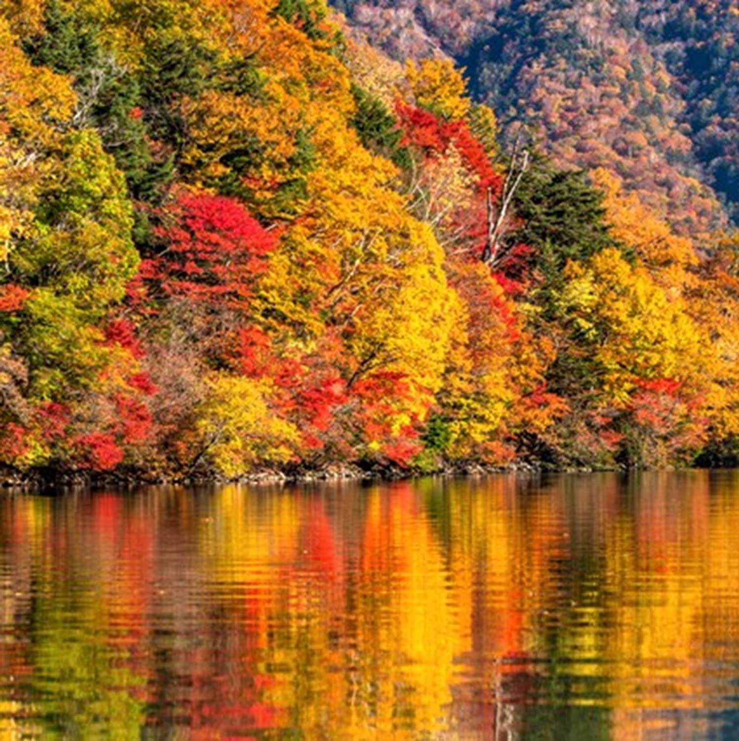Photos: Autumn Landscape in Nikko | JAPANICLE