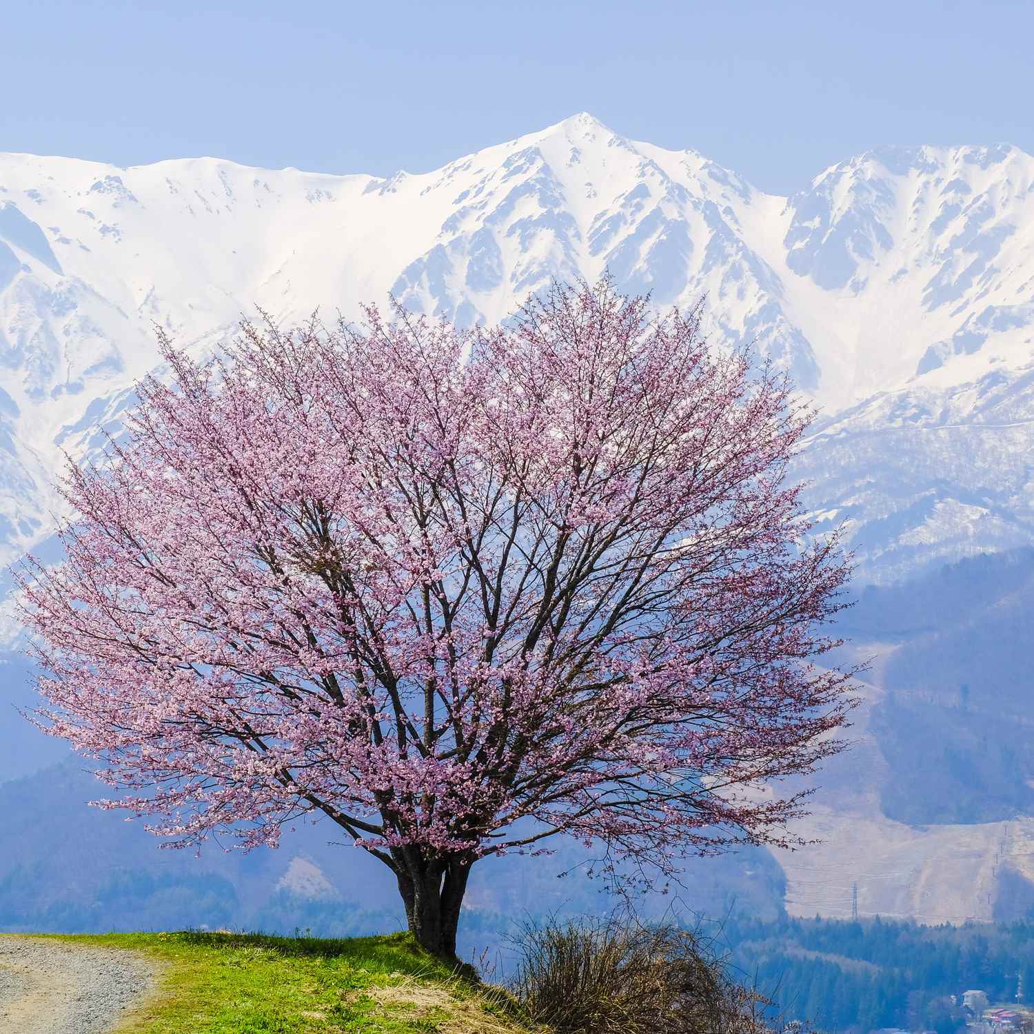 Photos: Beautiful mountains in Japan! | JAPANICLE