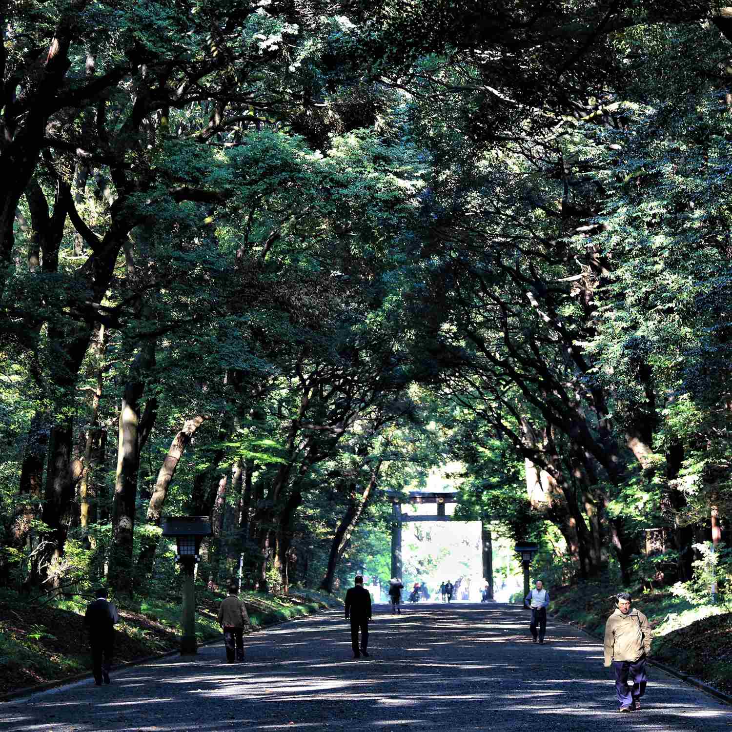 Photos: Meiji Jingu Shrine -The largest shrine in Tokyo with a vast ...