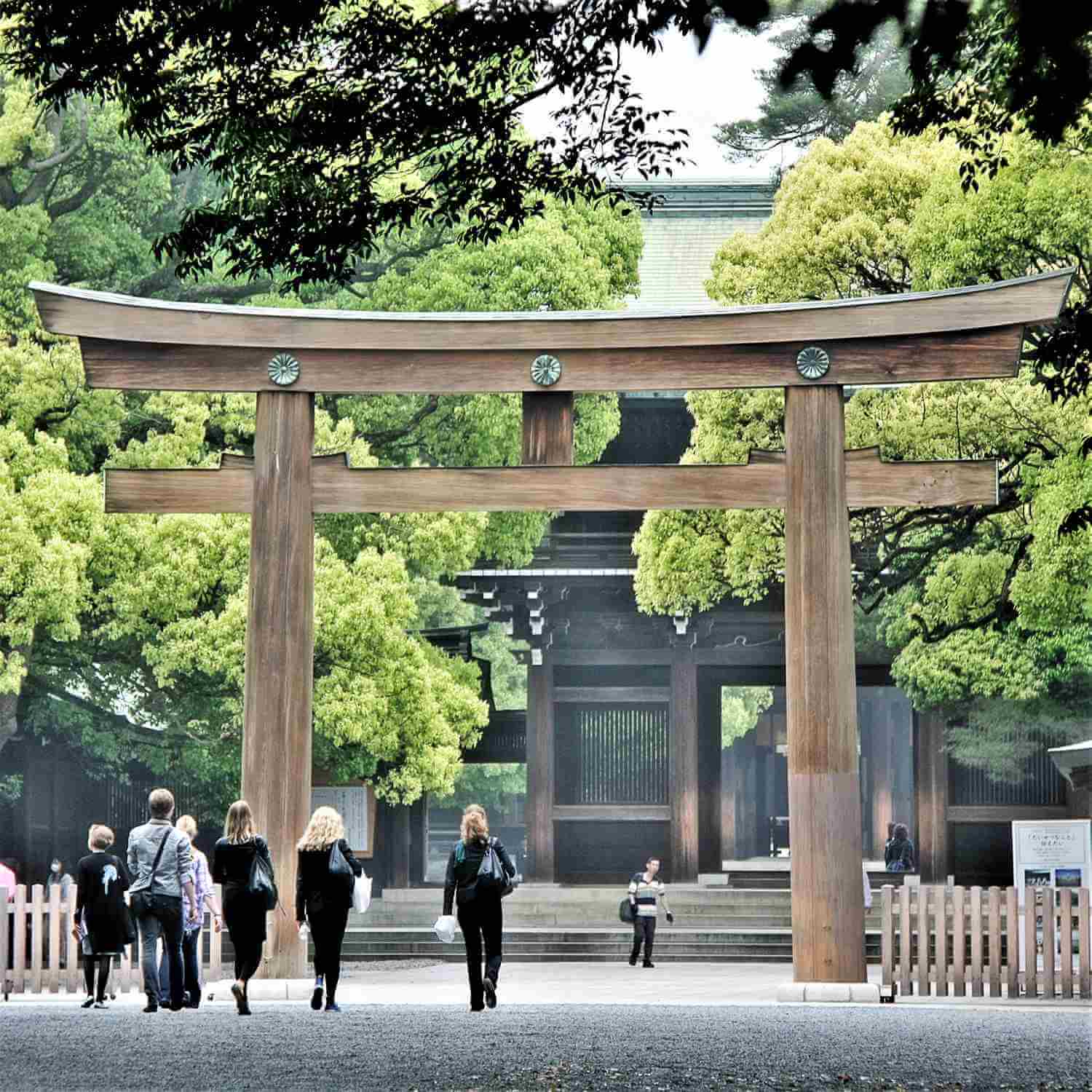 Photos: Meiji Jingu Shrine -The largest shrine in Tokyo with a vast ...