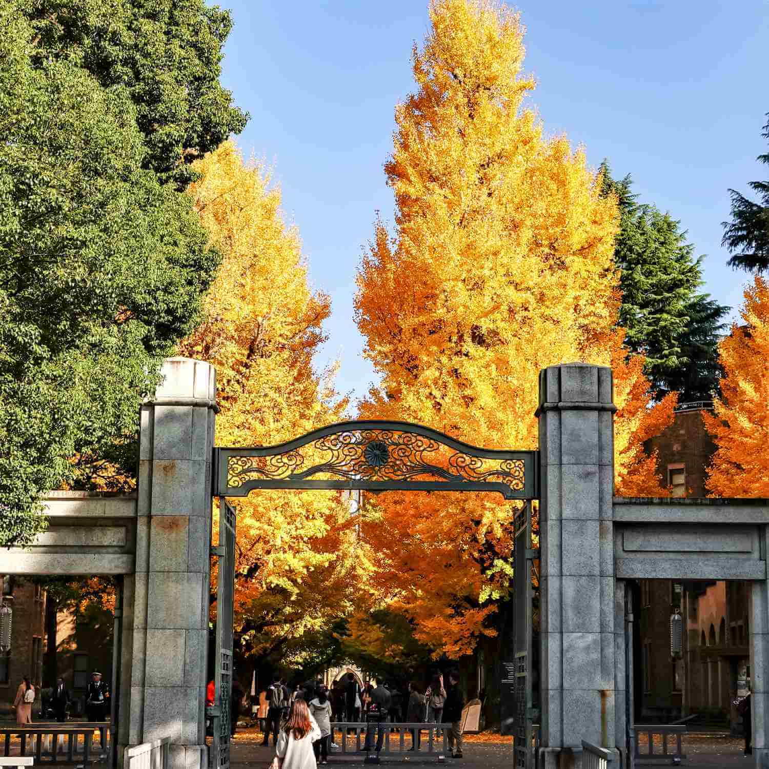 Photos: Let’s go to the University of Tokyo! | JAPANICLE