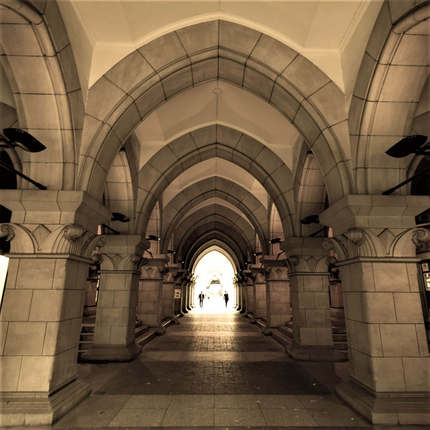 Photos: Let’s go to the University of Tokyo! | JAPANICLE