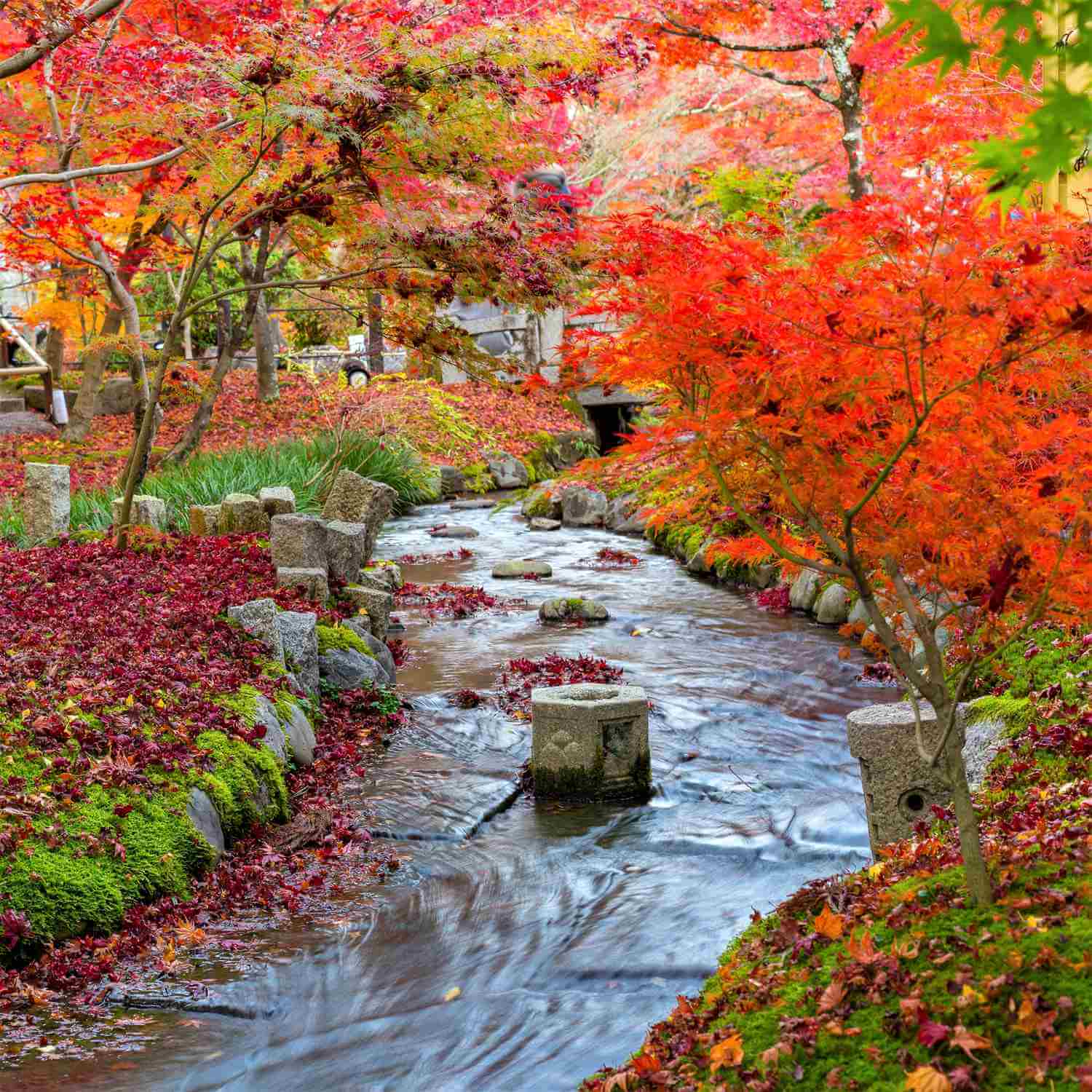 Photos: Eikando Zenrin-ji Temple -The temple with the most beautiful ...