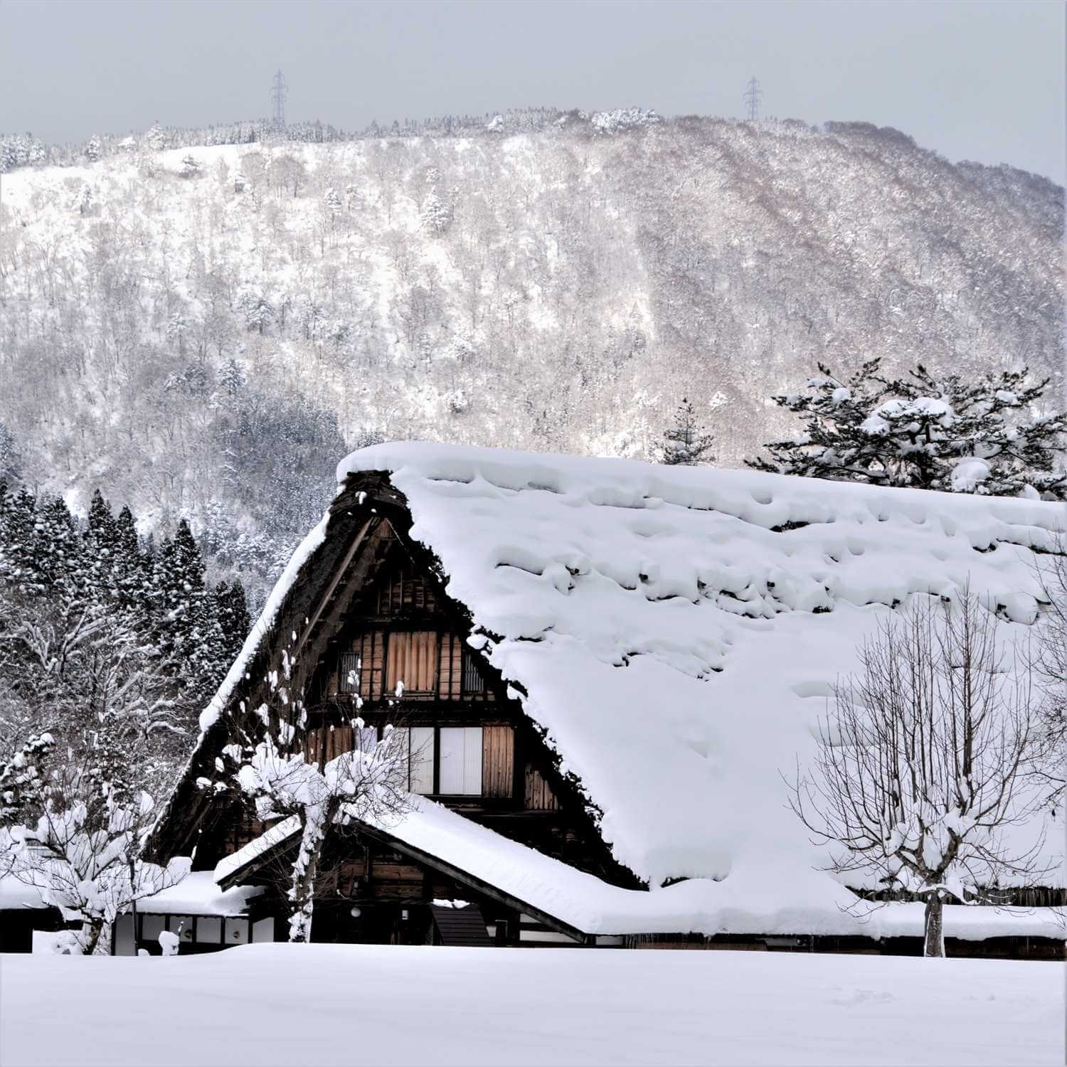 Photos: Shirakawago Village in winter | JAPANICLE